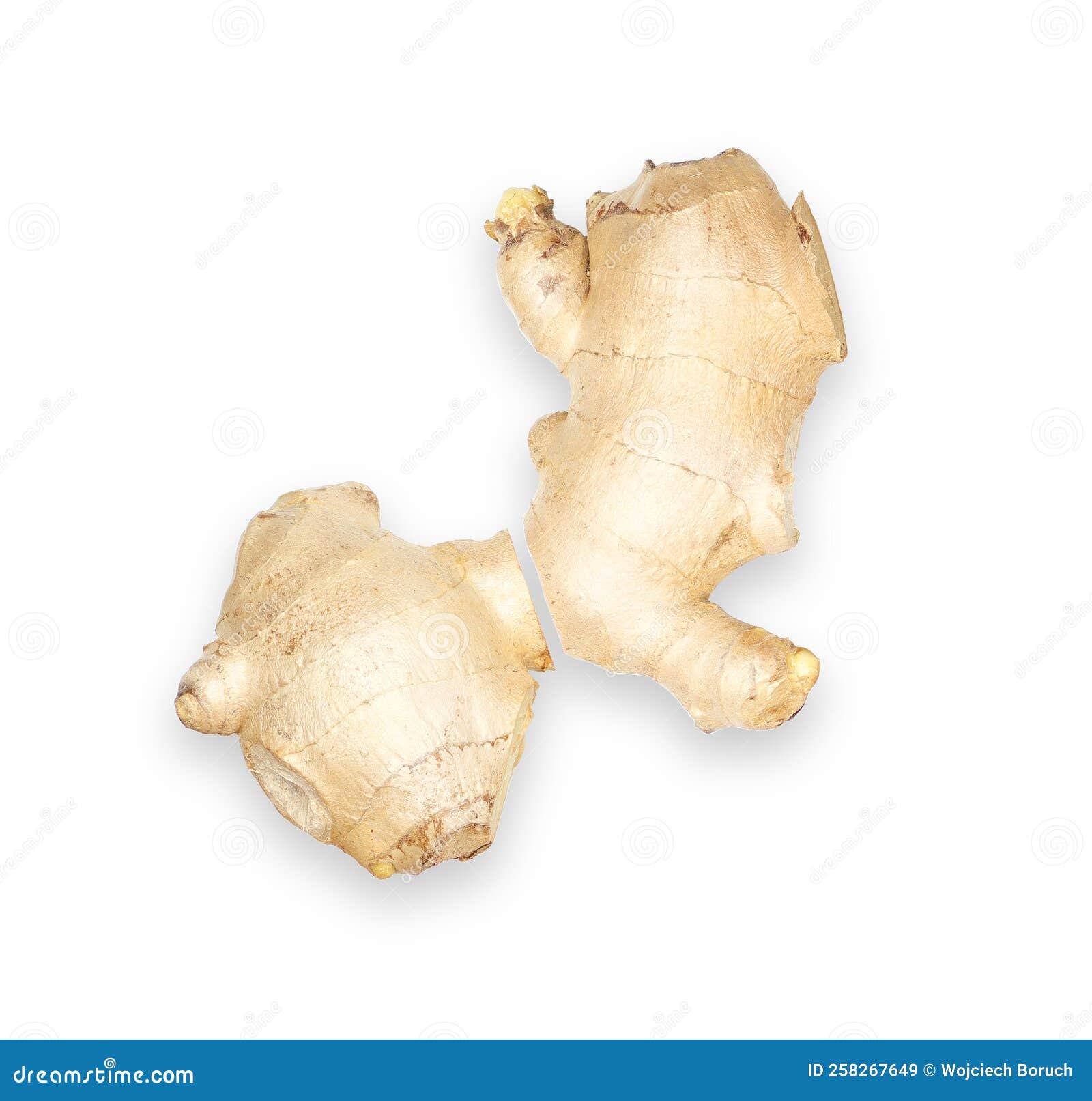 Large ginger root stock image. Image of root, isolated - 258267649