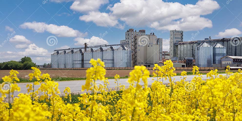 Large Grain Elevator with Multiple Cylindrical Metal Silos, Structural ...