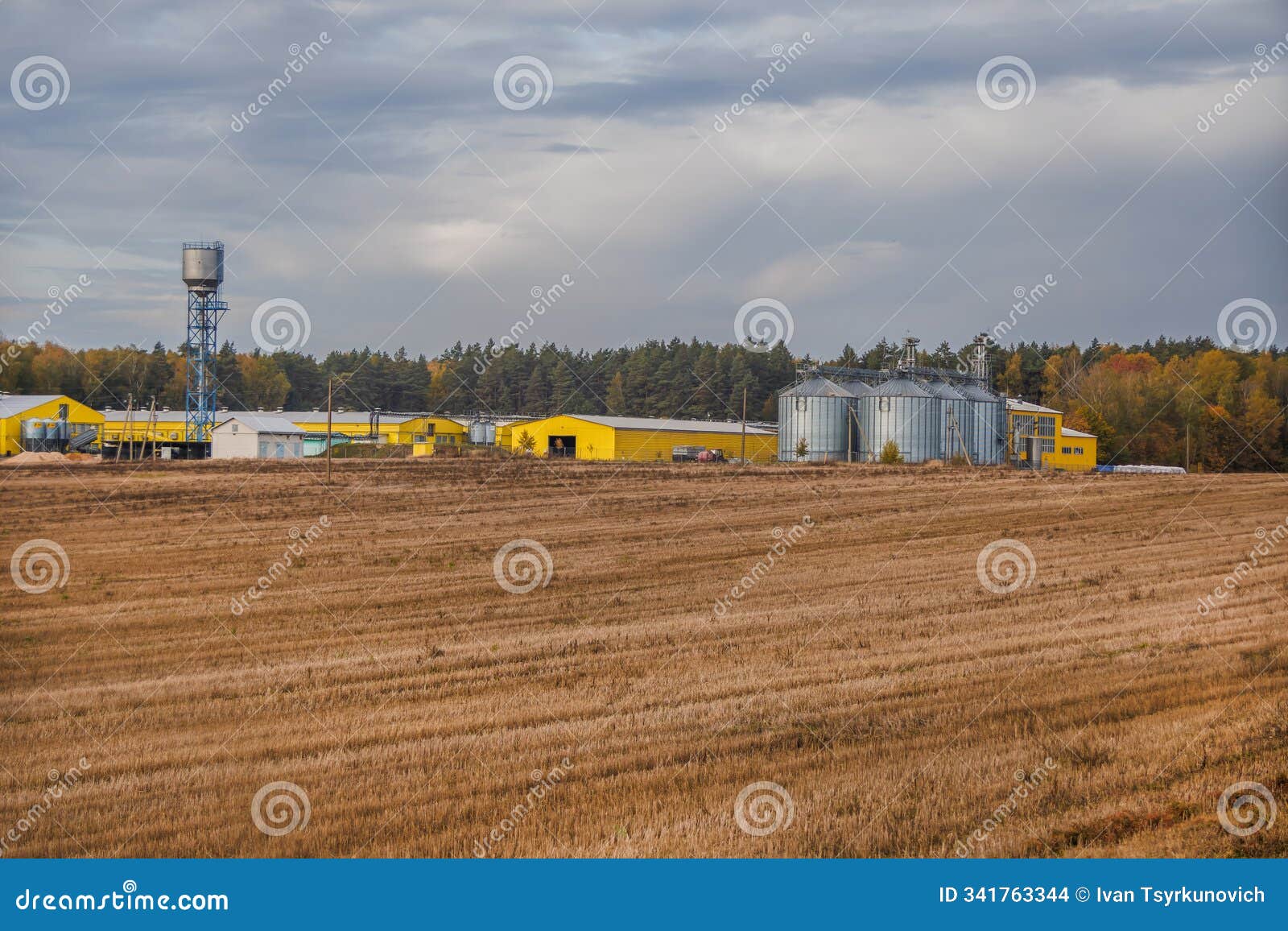Large Grain Elevator with Multiple Cylindrical Metal Silos, Structural ...