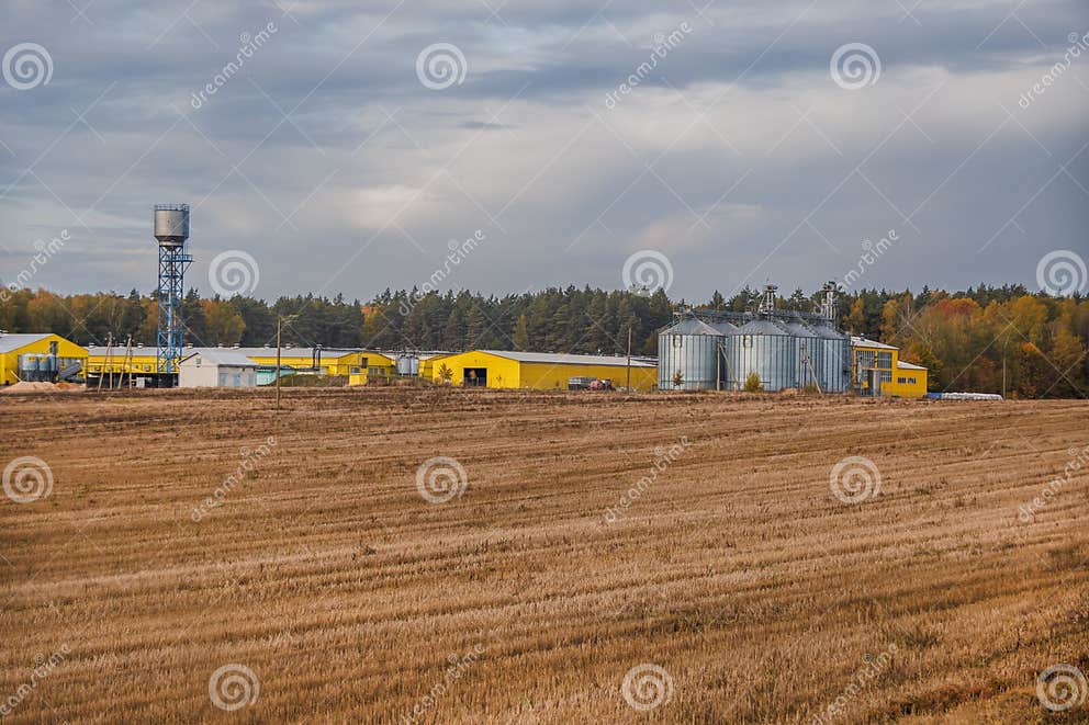 Large Grain Elevator with Multiple Cylindrical Metal Silos, Structural ...