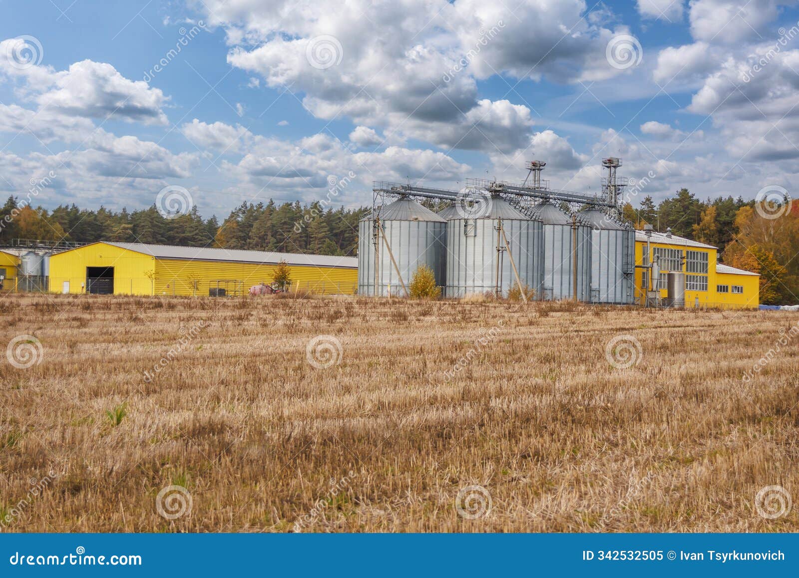 Large Grain Elevator with Multiple Cylindrical Metal Silos, Structural ...