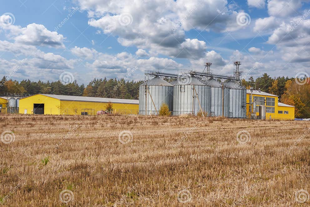 Large Grain Elevator with Multiple Cylindrical Metal Silos, Structural ...