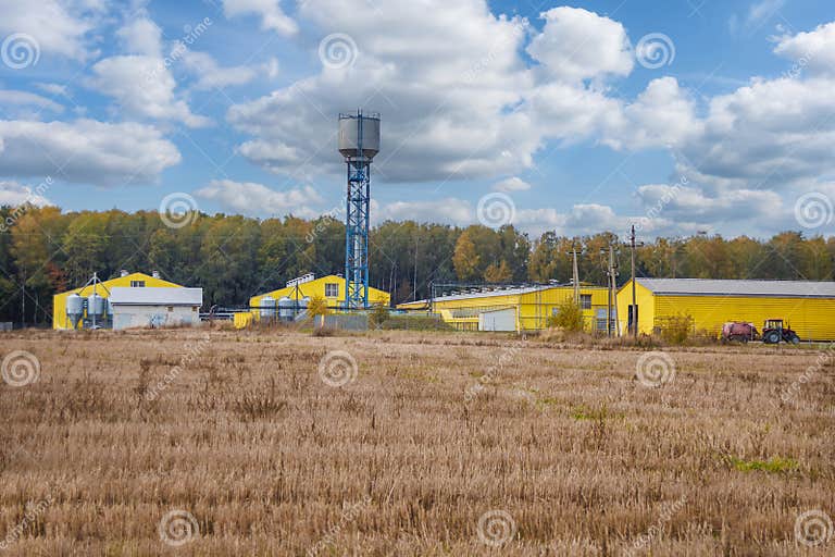 Large Grain Elevator with Multiple Cylindrical Metal Silos, Structural ...