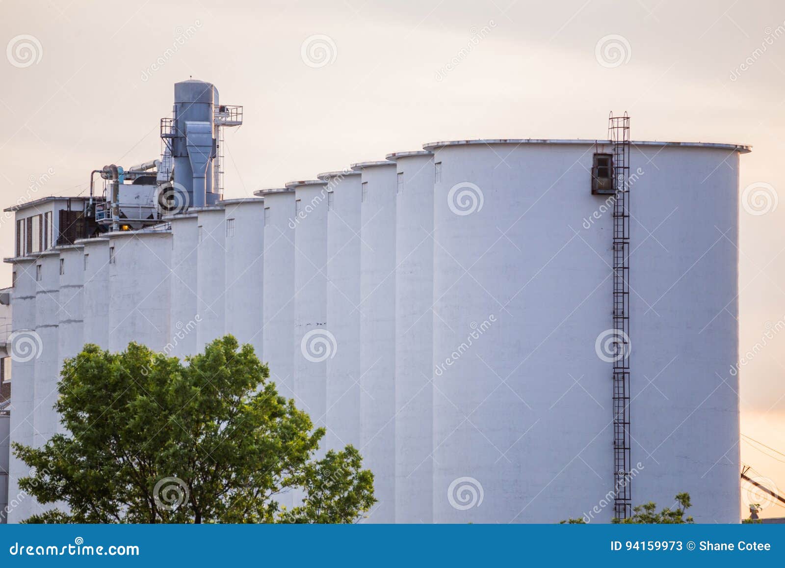 Large Grain Silos stock image. Image of farm, rural, economy - 94159973