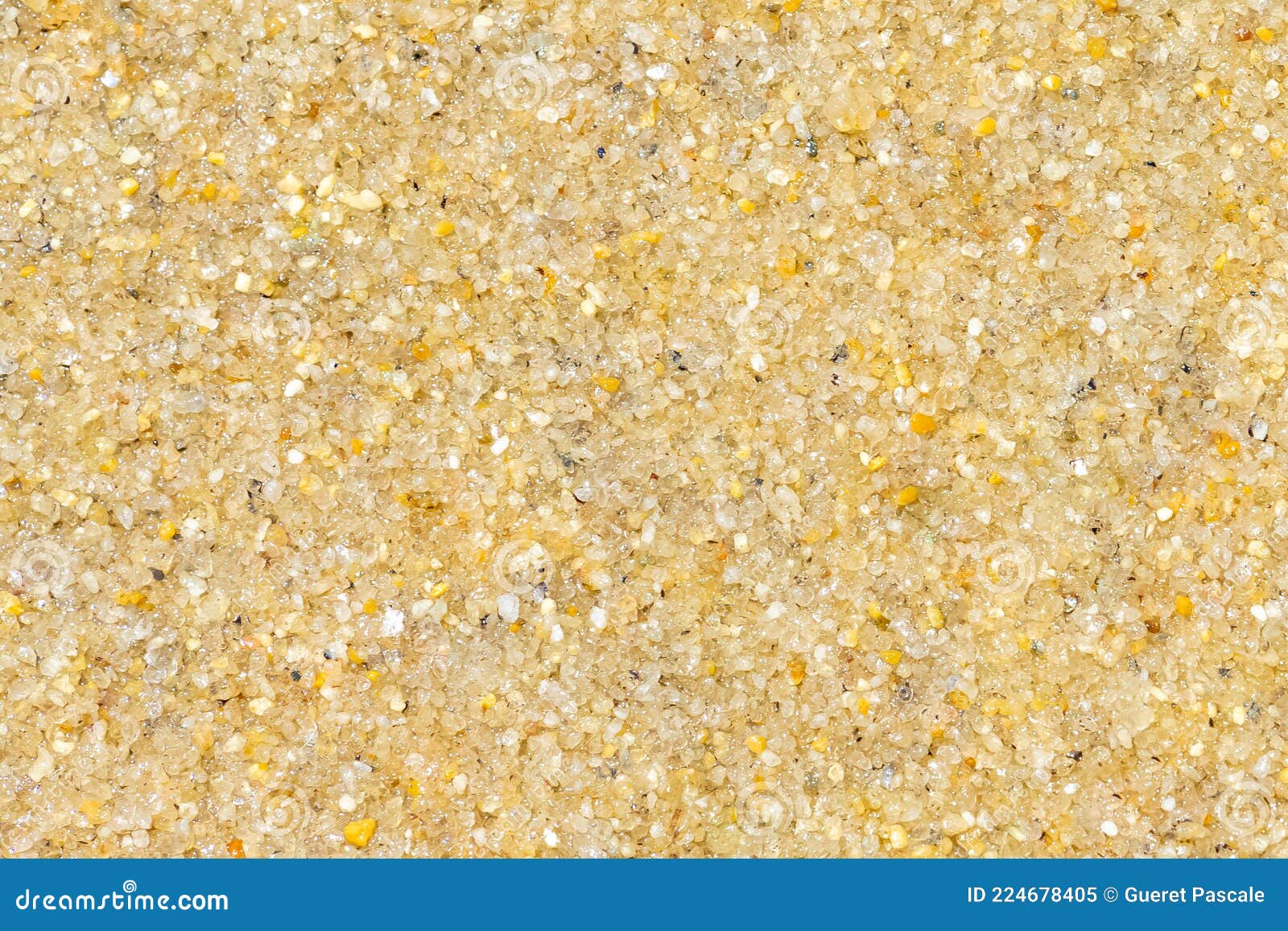 Large grains of sand stock image. Image of brittany - 224678405