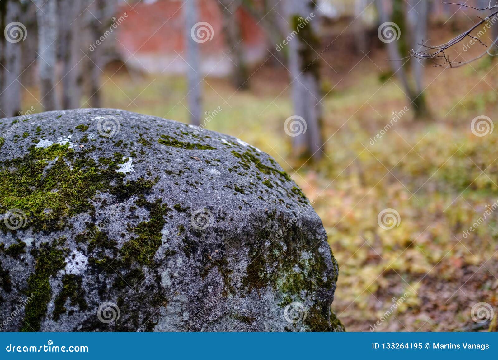 Large Granite Rock Single in Nature Stock Image - Image of grass ...