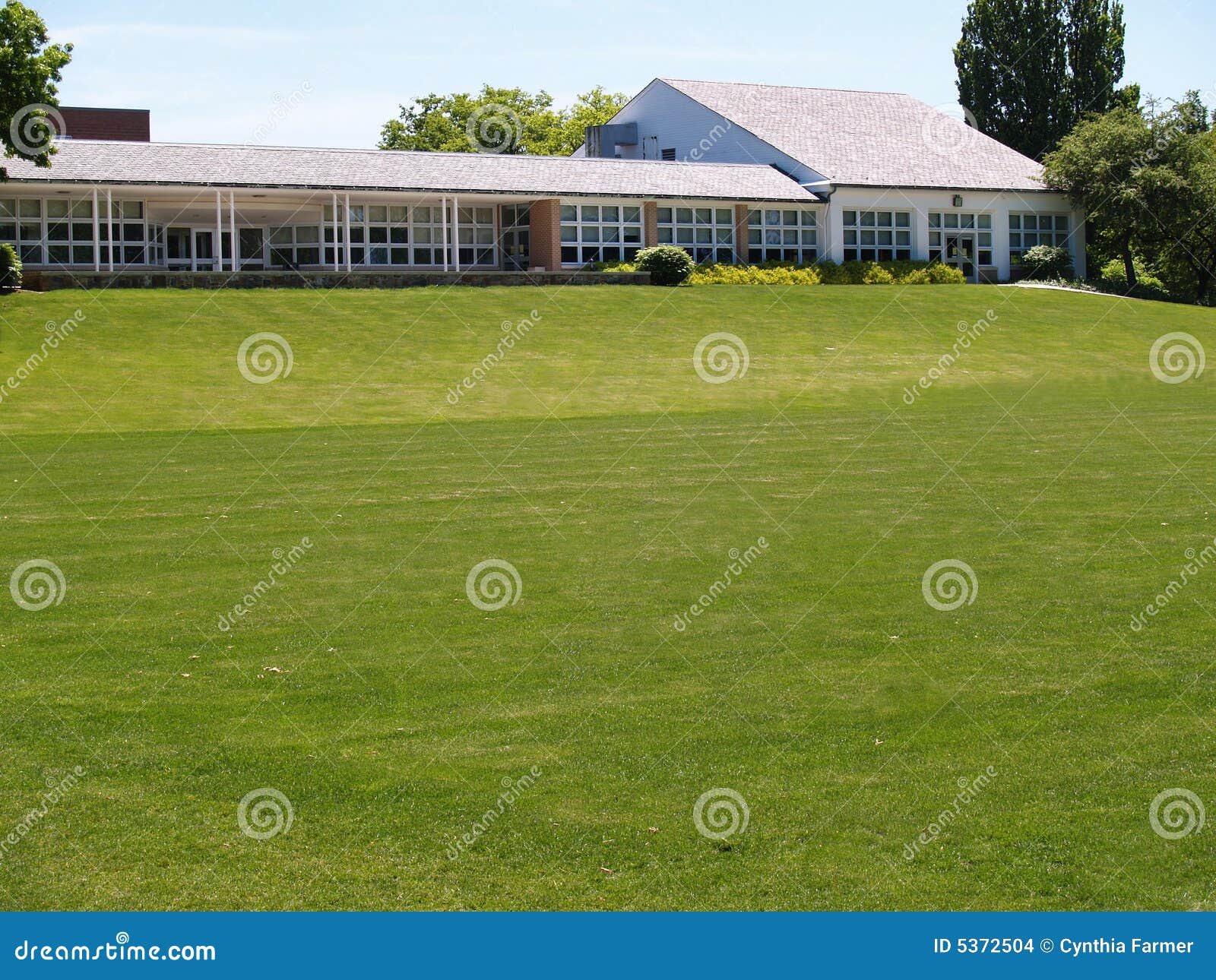 Large Grass Area by Building Stock Photo - Image of area, lawn: 5372504