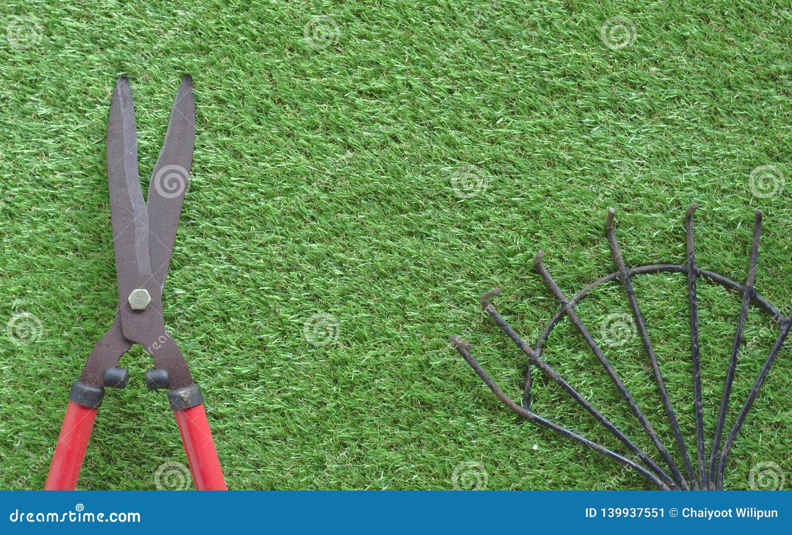 Large Grass Cutting Scissors, Red Handle, Steel Rake on Grass Stock ...
