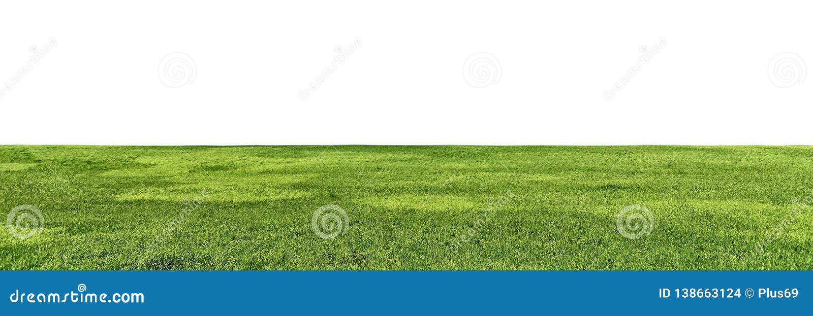 Large Grass Field To Horizon Isolated on White Stock Photo - Image of ...