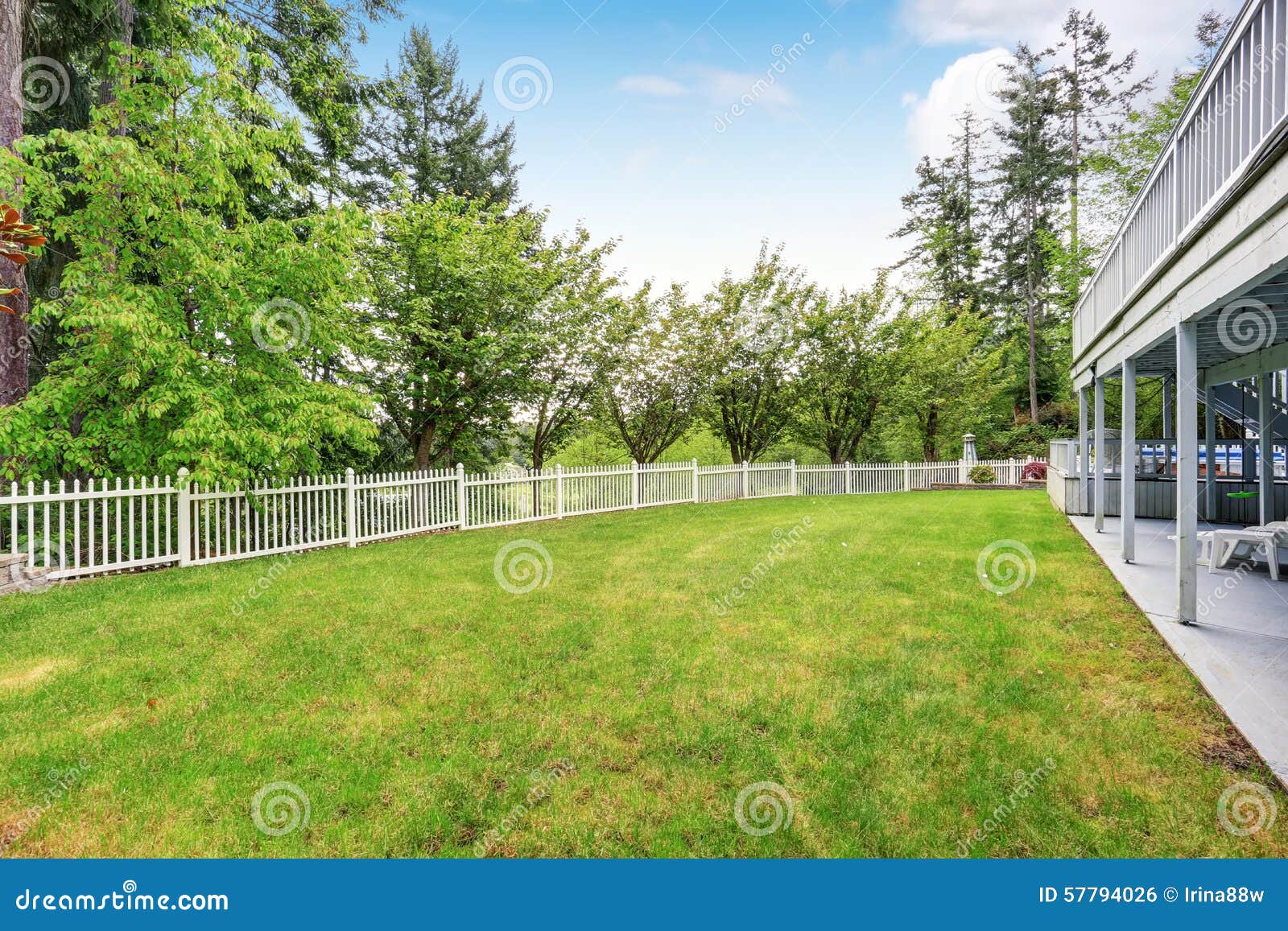 Large Grass Filled Back Yard. Stock Photo - Image of gorgeous, nice ...