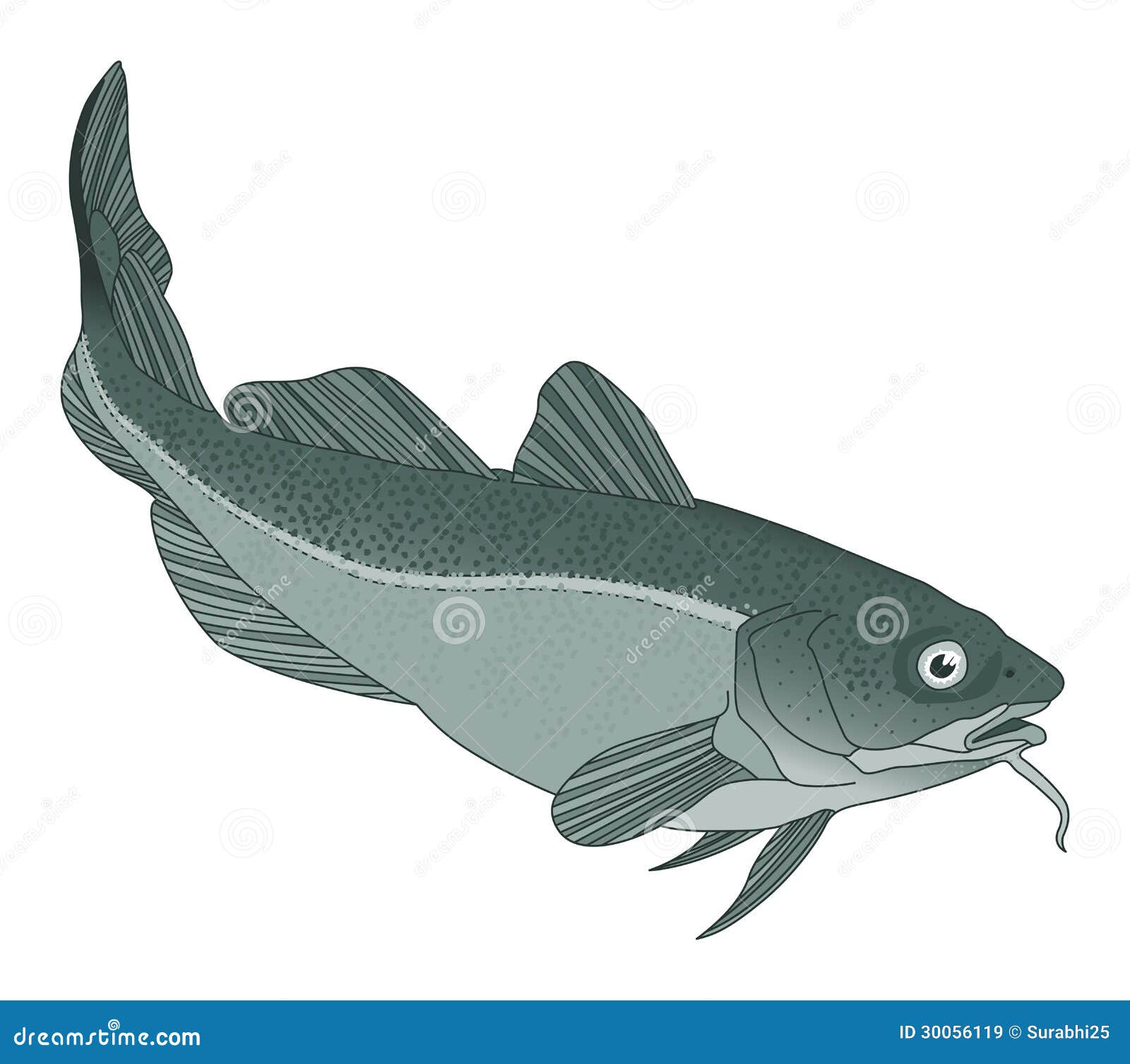 Codfish Haddock Line Art, Cod Seafood And Underwater Animal. Water ...