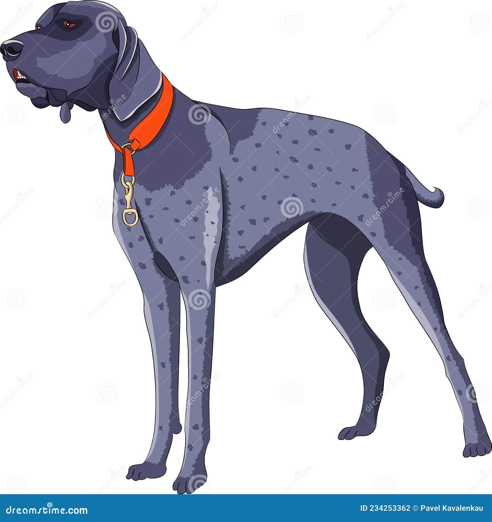 Large Gray Hunting Dog Isolated on White Background. Stock Vector ...