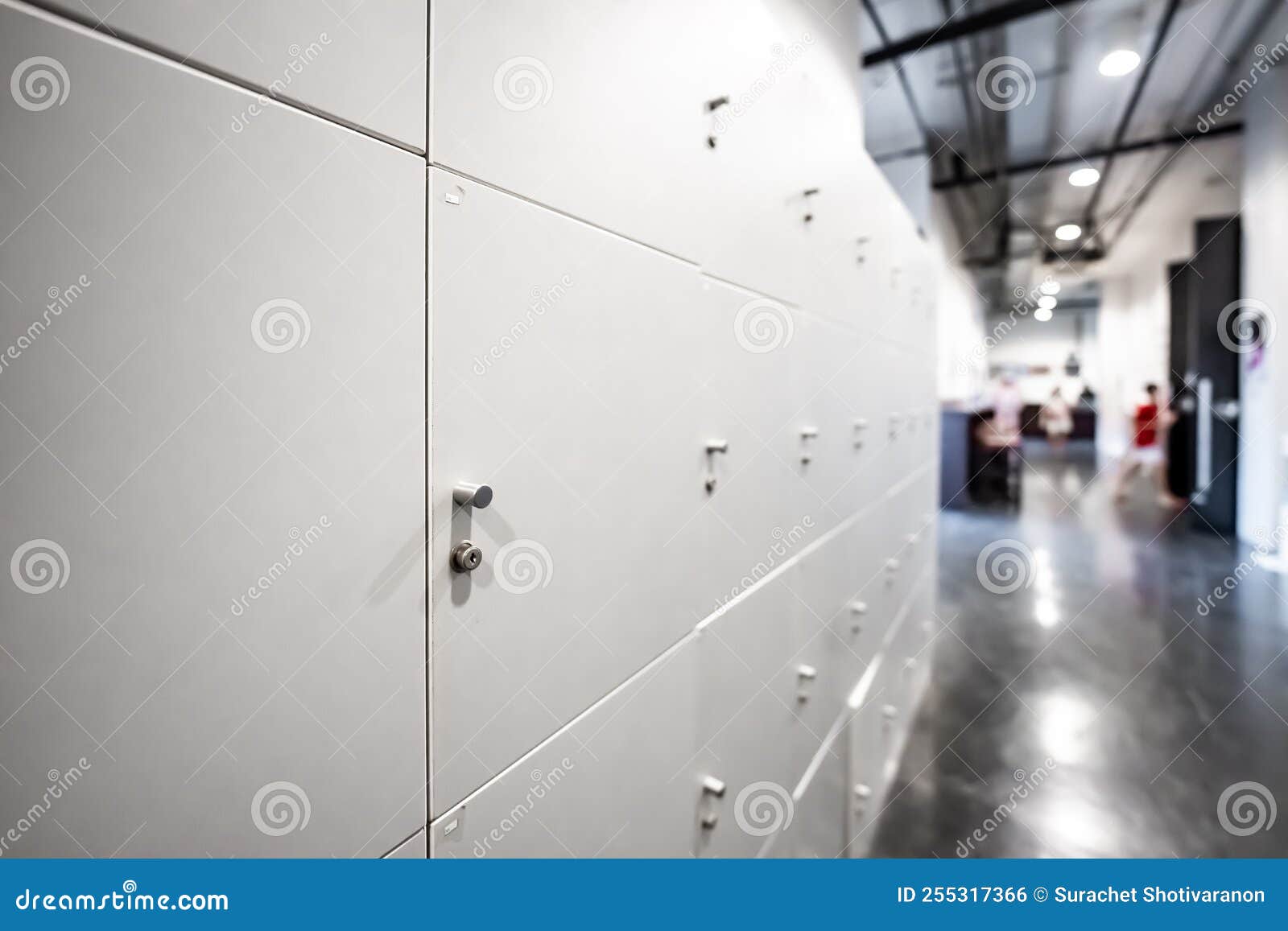 Large Gray Locker with Each Locker Closed Located beside Corridors ...