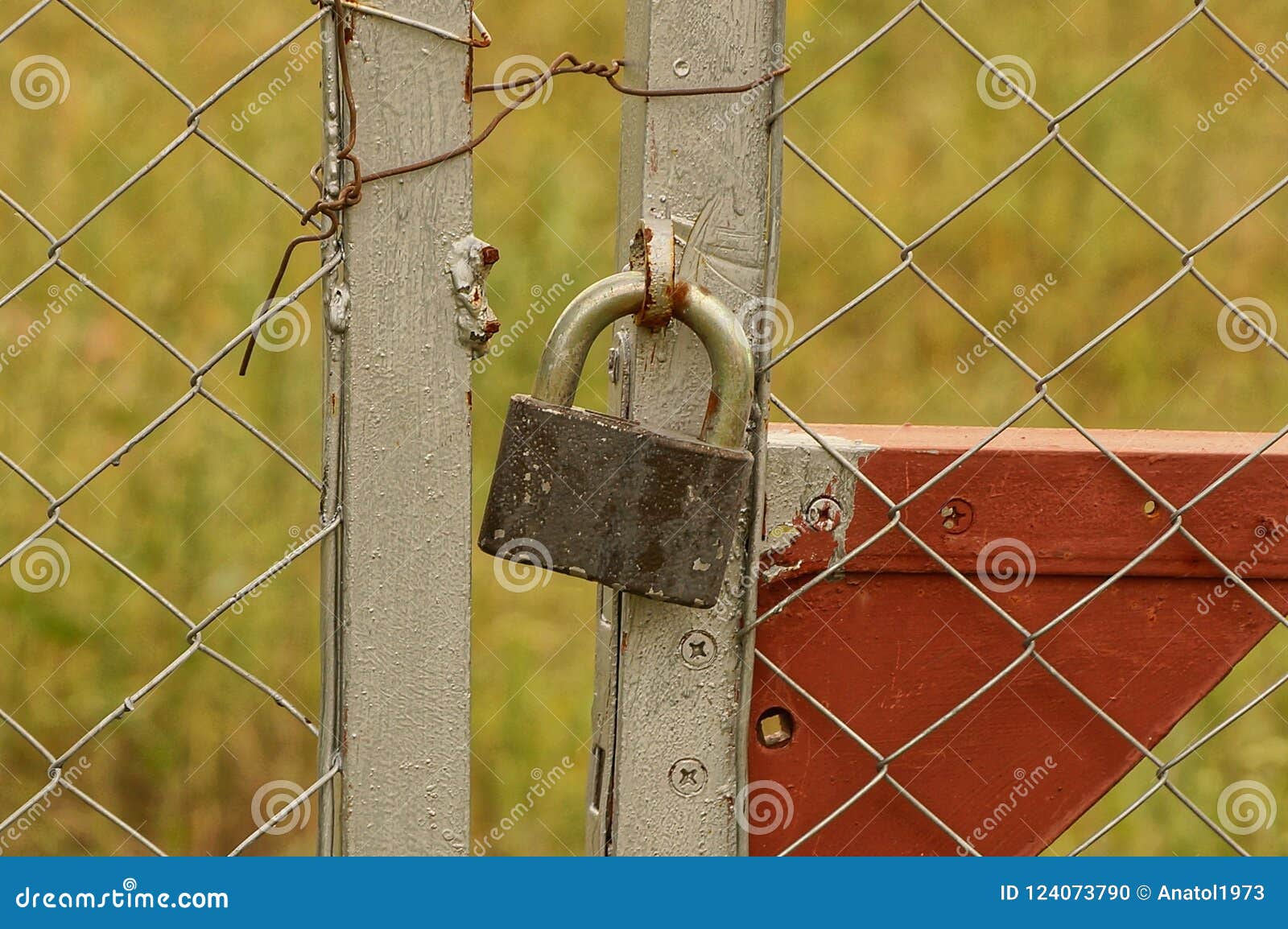 Large Gray and Old Padlock on an Iron Fence from a Grid Stock Photo ...