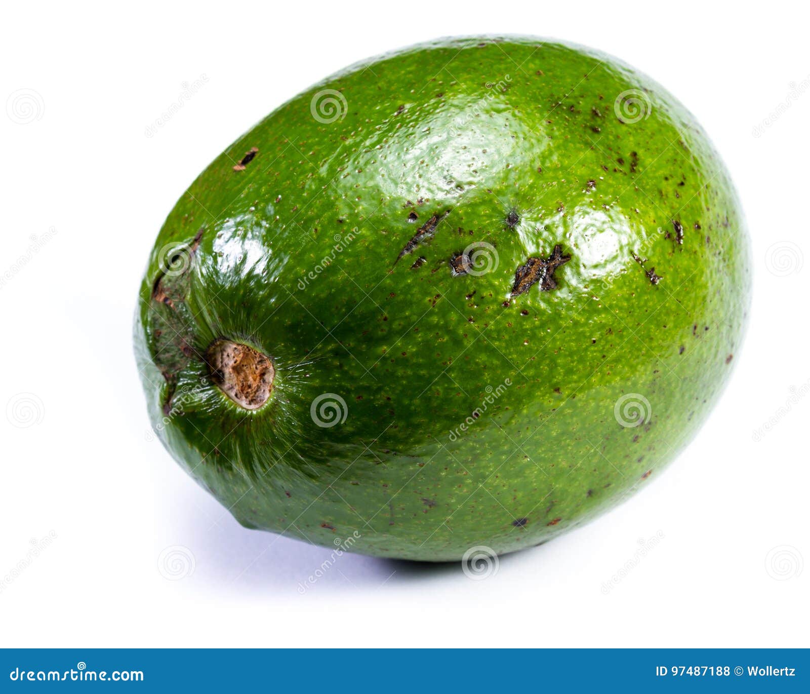 Large green avocado stock photo. Image of based, reed - 97487188