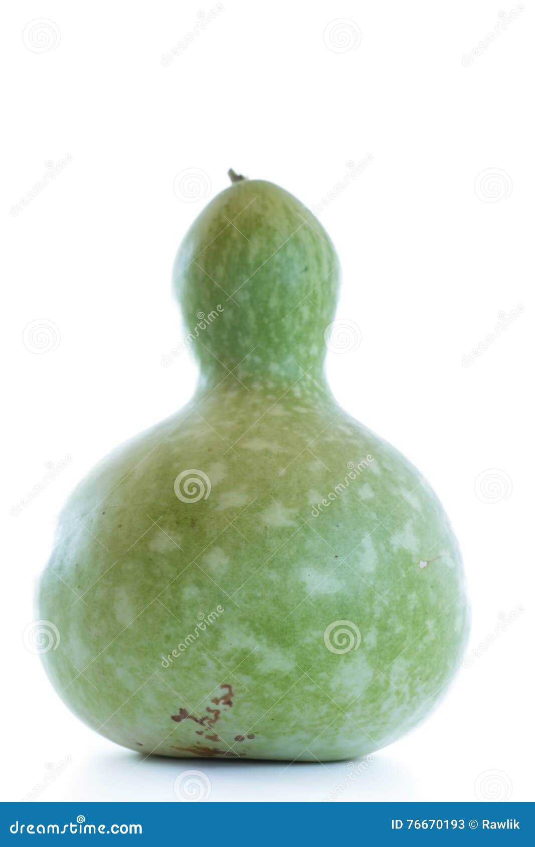 Large green bottle gourd stock image. Image of close - 76670193