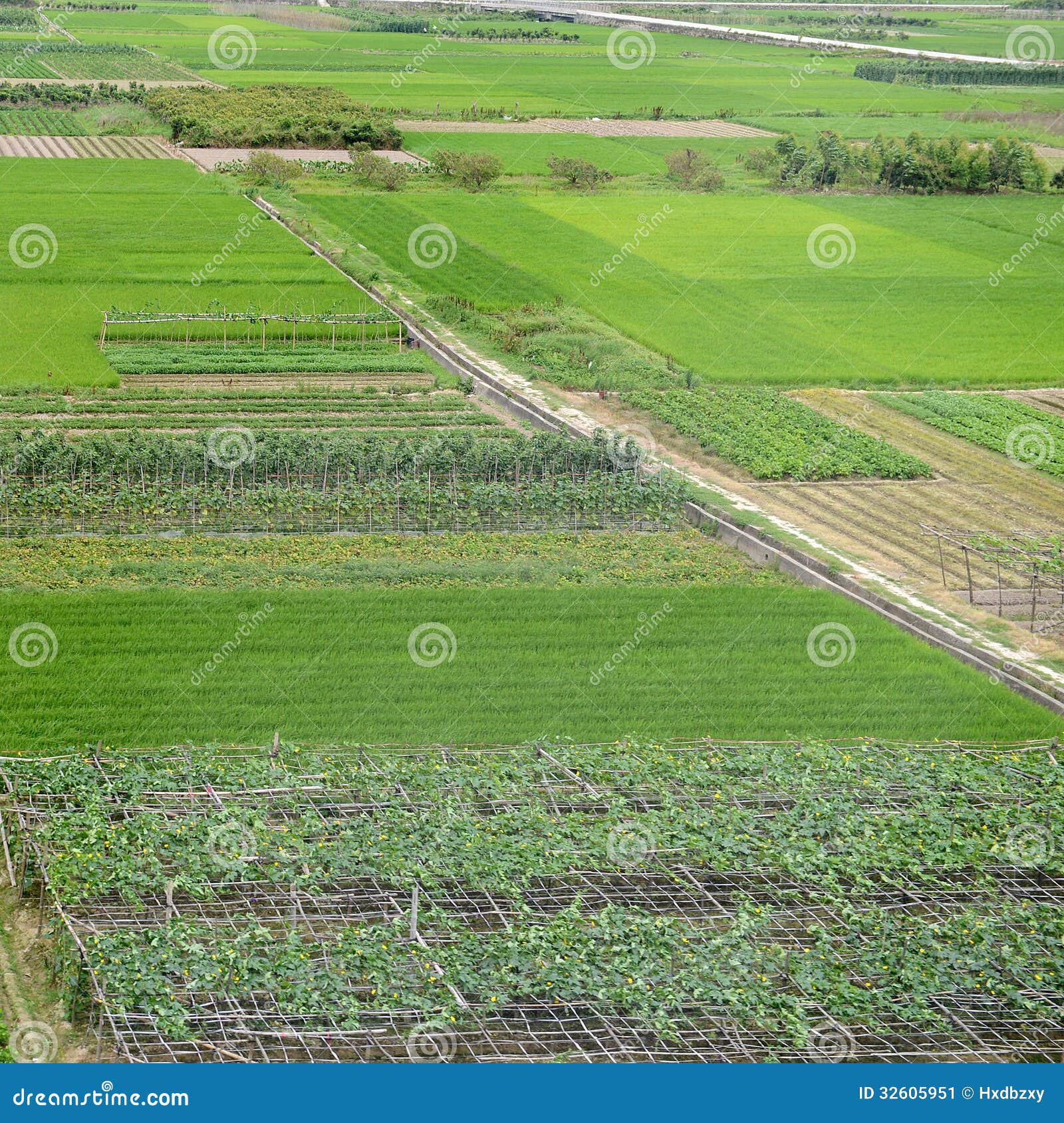 Large green farm land stock image. Image of land, foliage - 32605951
