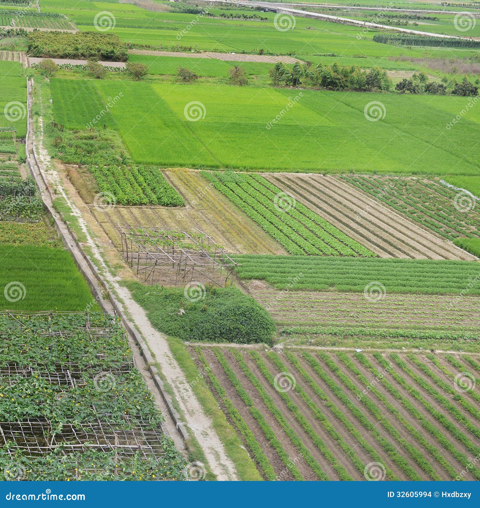 Large green farm land stock photo. Image of farm, growth - 32605994