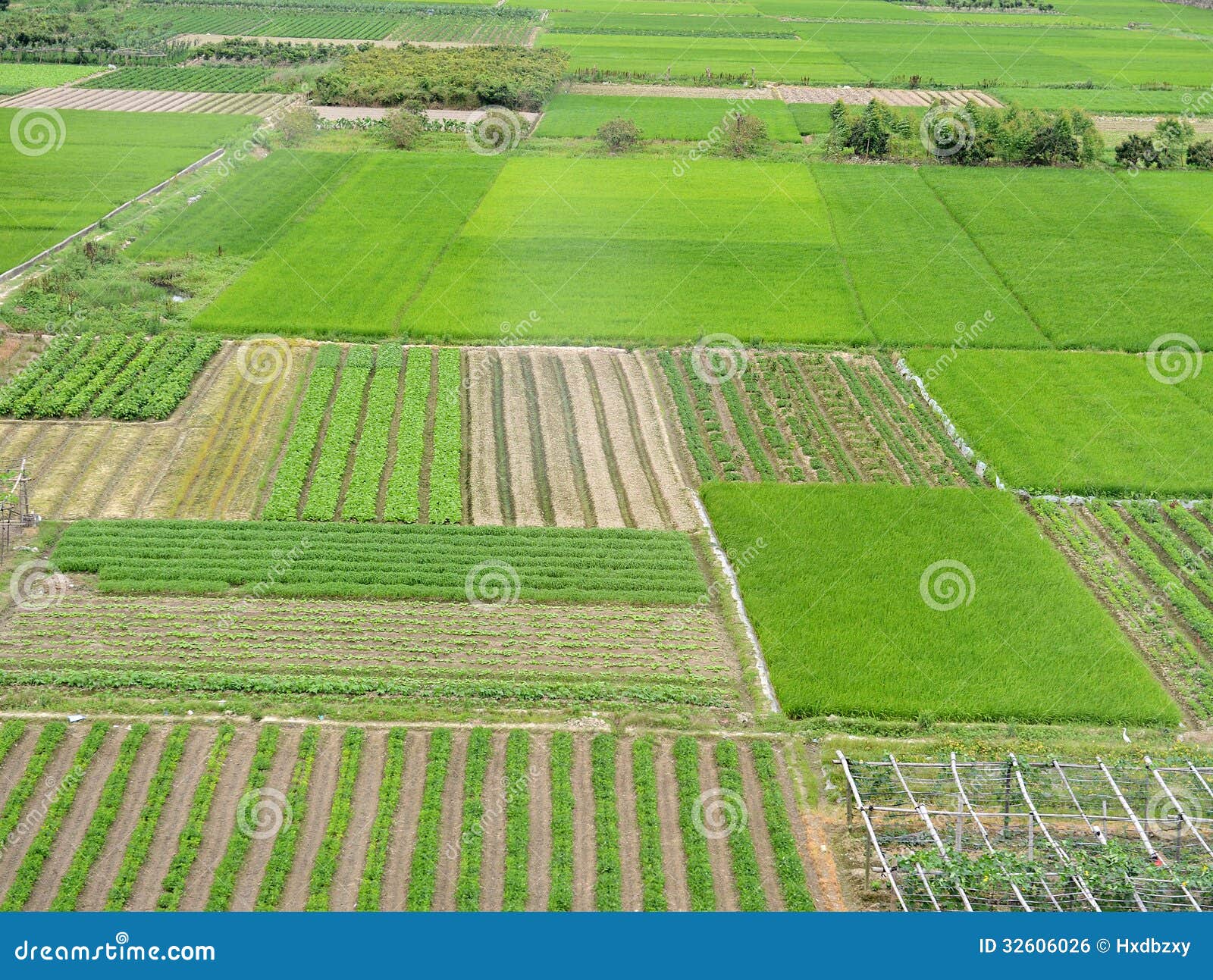 Large green farm land stock photo. Image of foliage, agricultural ...