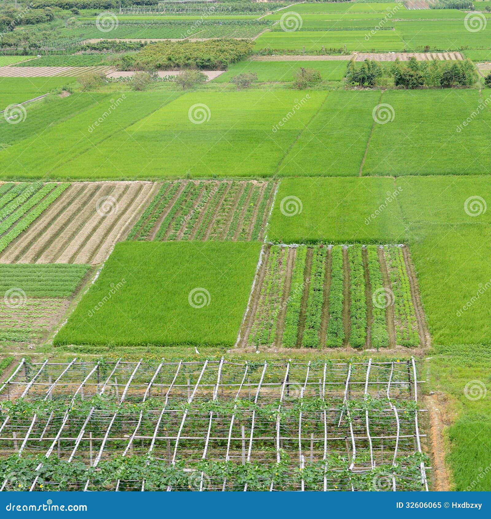 Large green farm land stock image. Image of angle, country - 32606065