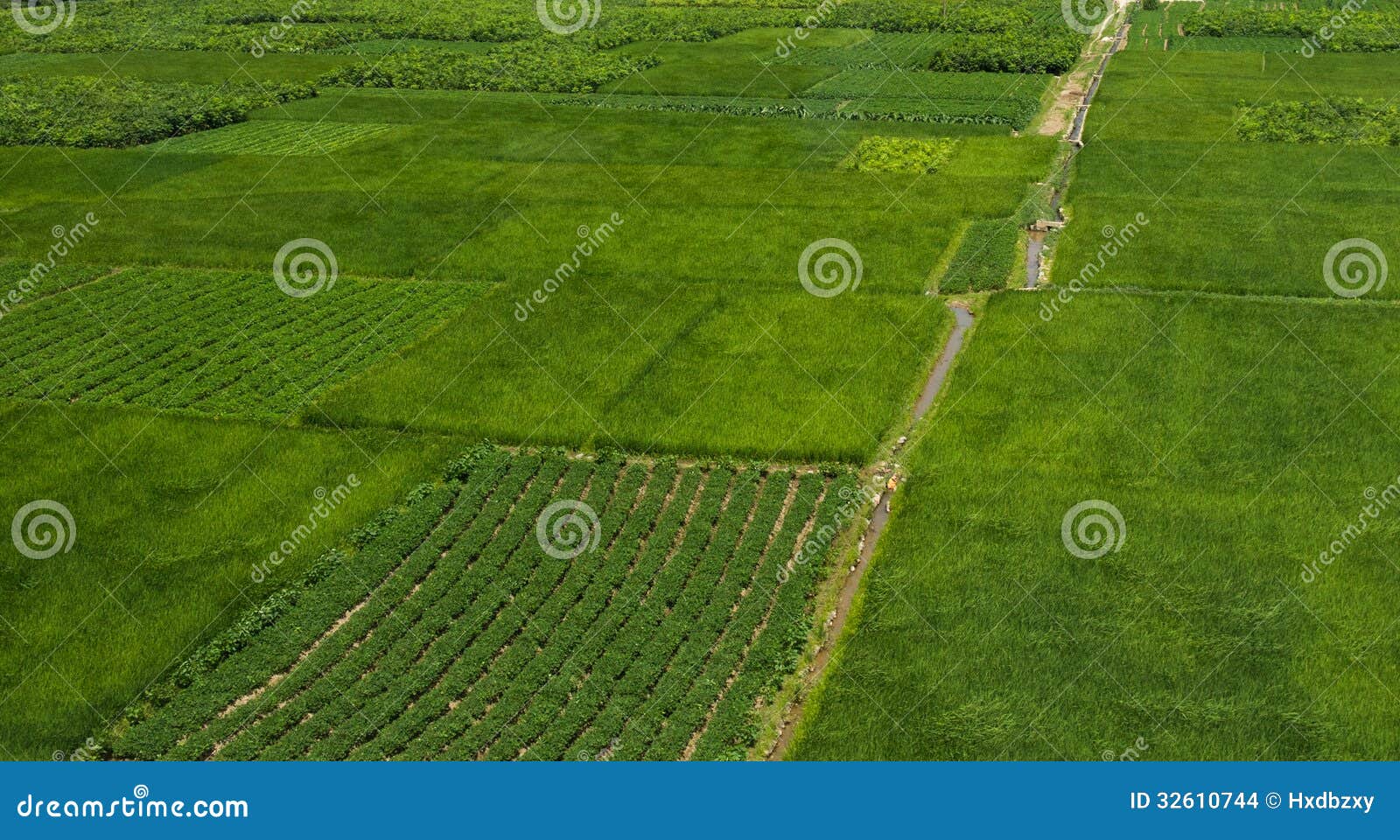 Large green farm land stock photo. Image of harvest, background - 32610744