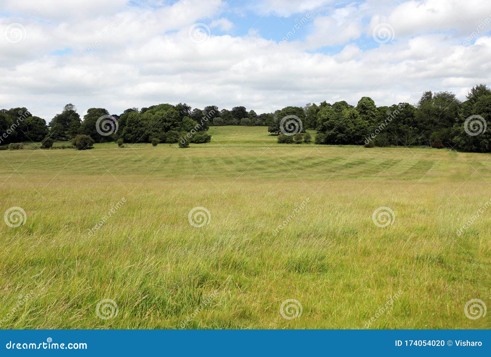 Large Green Field with Trees in the Distance Stock Photo - Image of ...
