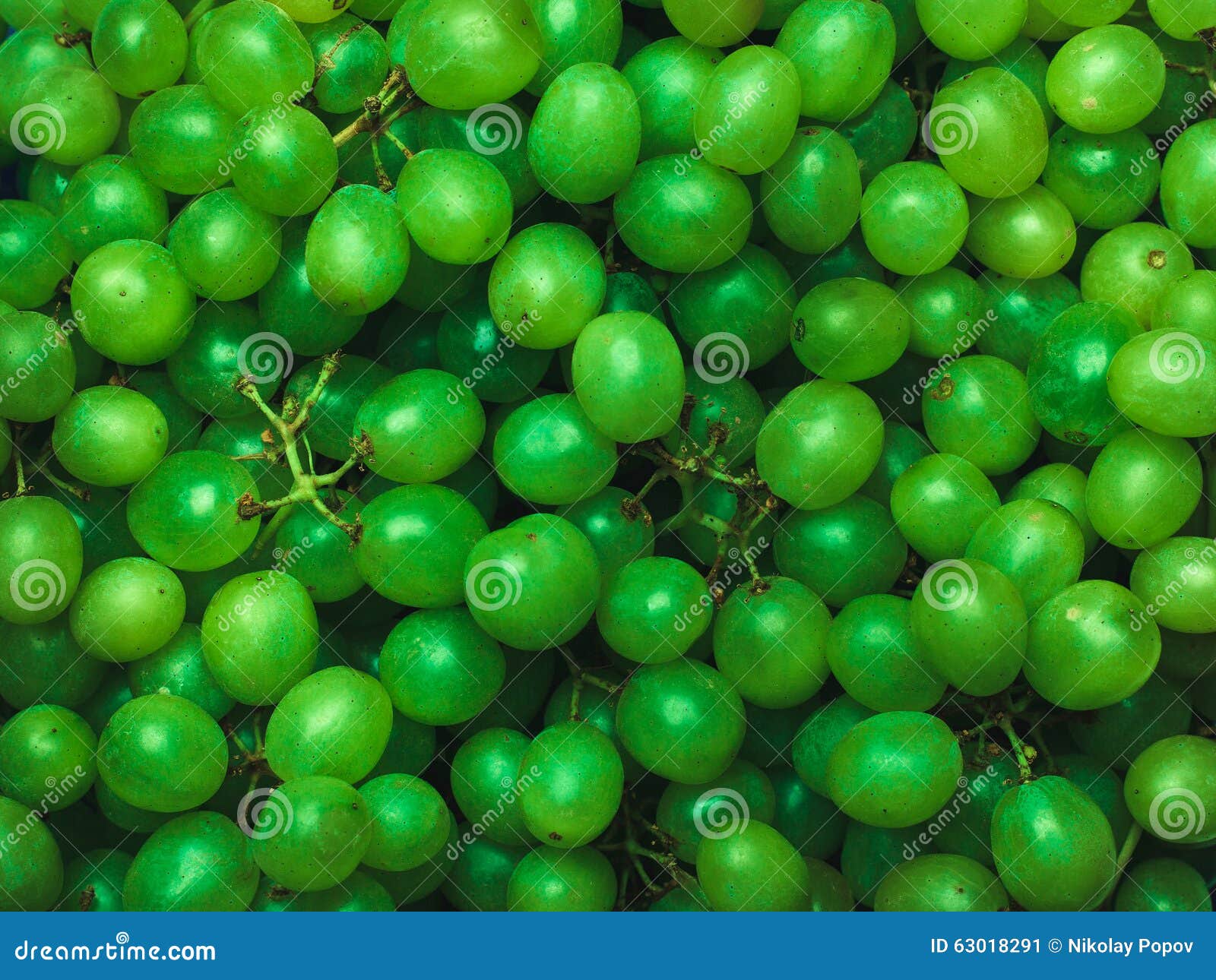 Large green grapes. stock image. Image of vineyard, agriculture - 63018291