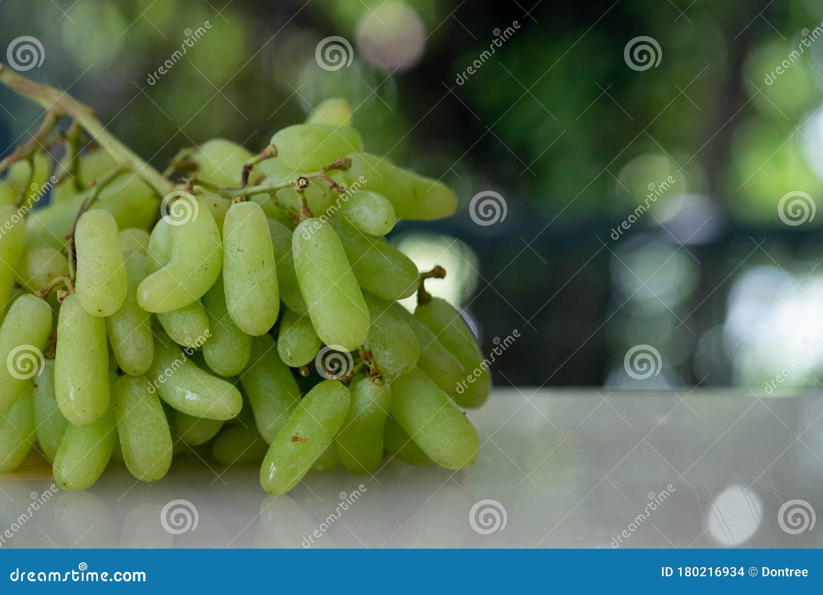 Large green juicy grape stock photo. Image of fresh - 180216934