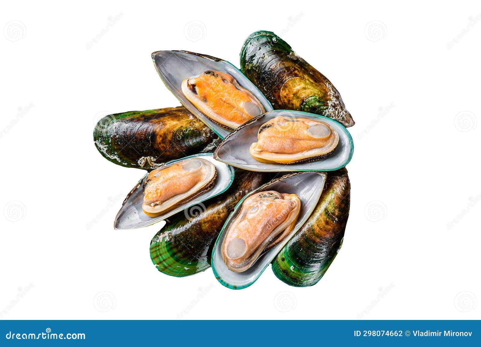 Large Green Mussels in Shells on Tray with Ice. Isolated, White ...