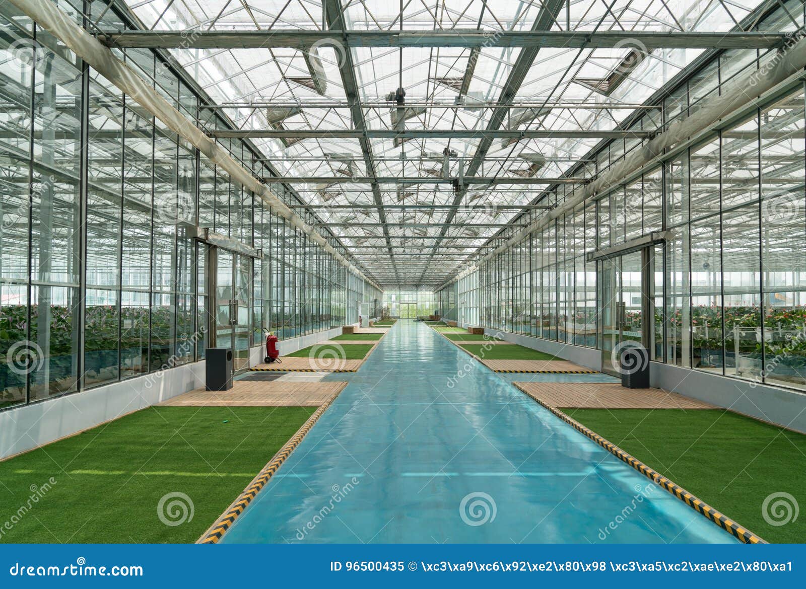 A Large Green Plant Production Base Editorial Image - Image of plants ...