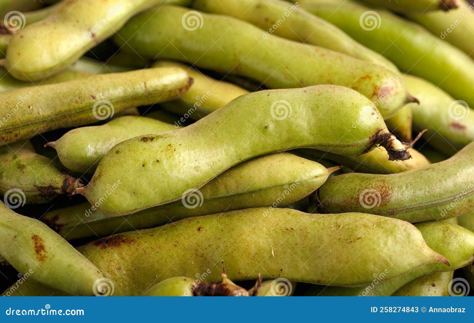 Large Green Pods of Large Beans in a Box. Stock Image - Image of french ...