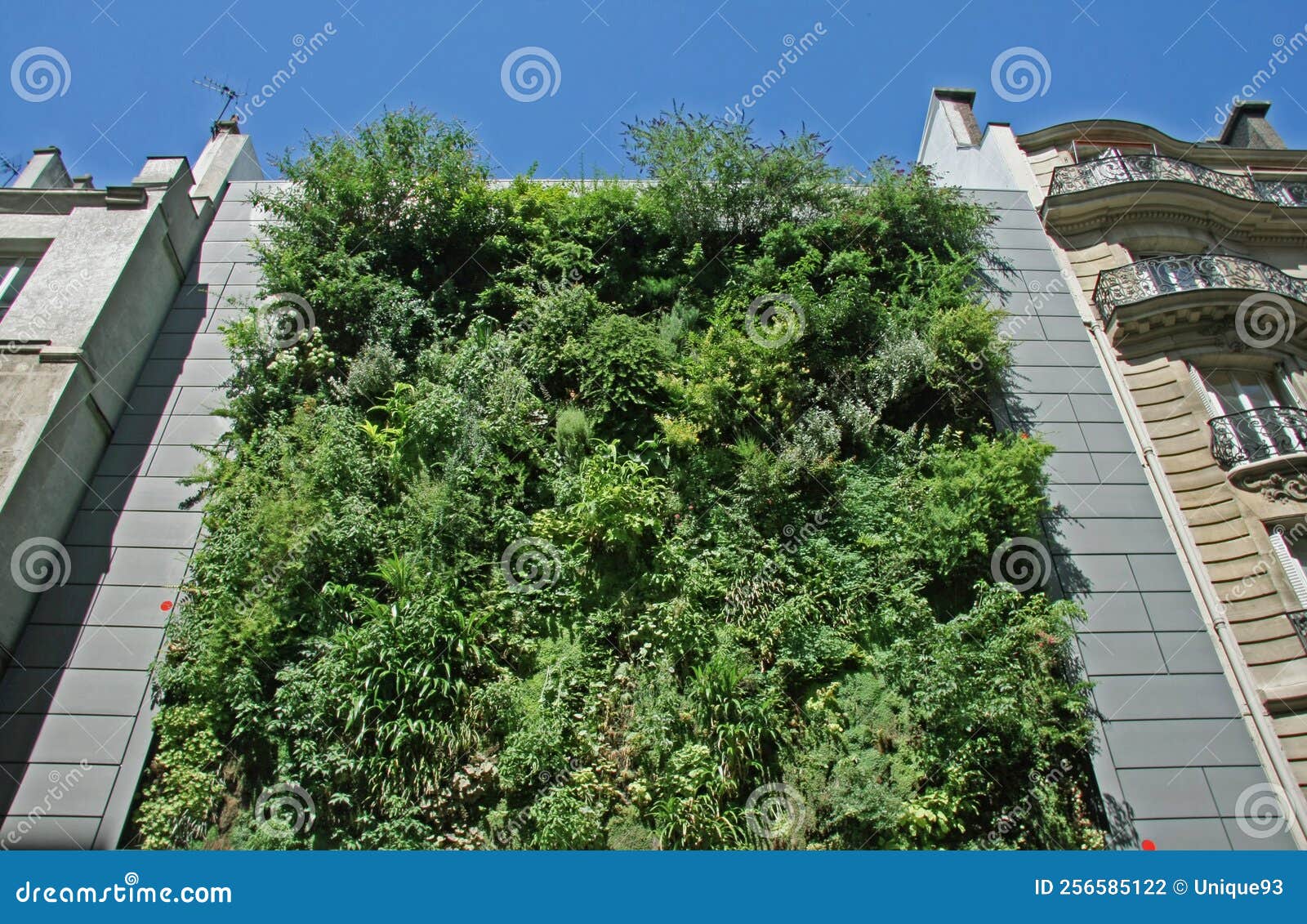 Large Green Wall of a Building Stock Photo - Image of large, building ...