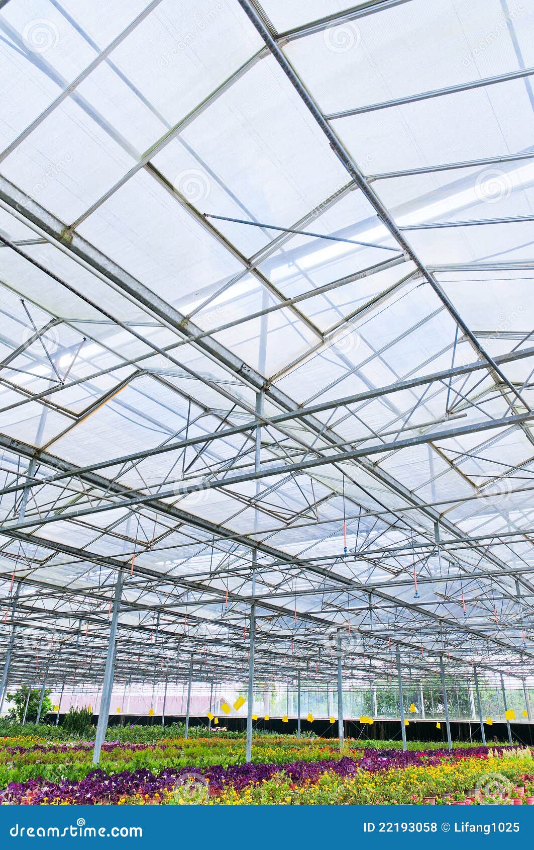 Large greenhouse stock photo. Image of lifestyle, traditional - 22193058