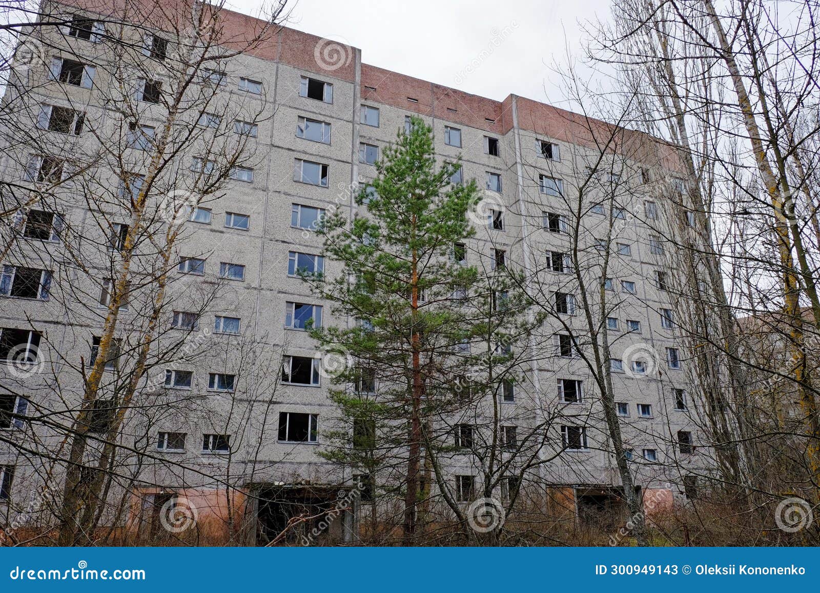 A Large, Grey Building with Many Windows is Surrounded by Bare and ...