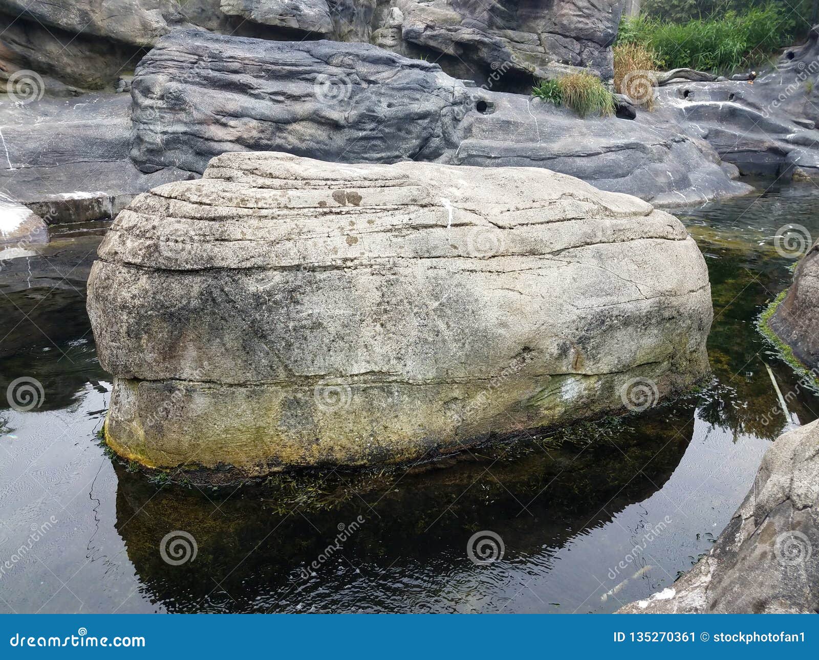 Large Grey Rock or Boulder in Water with Reflection Stock Image - Image ...