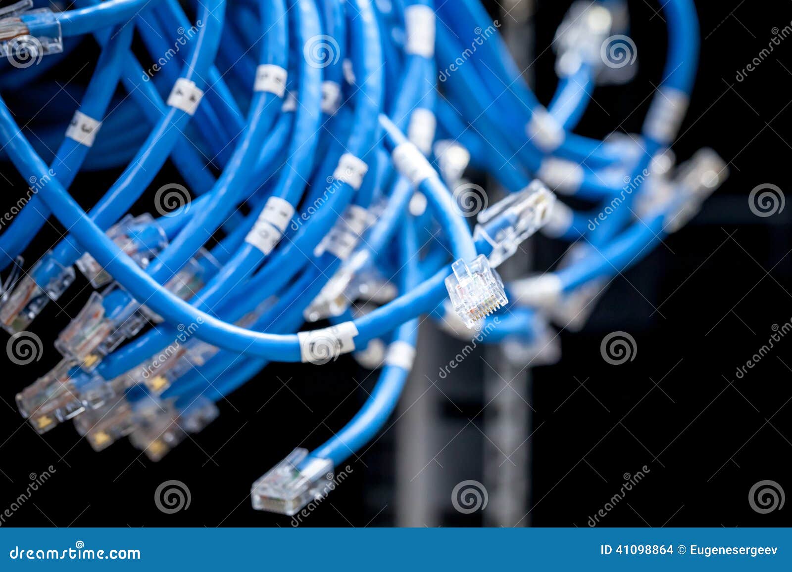 Large Group of Blue Internet Cables Stock Photo - Image of ethernet ...