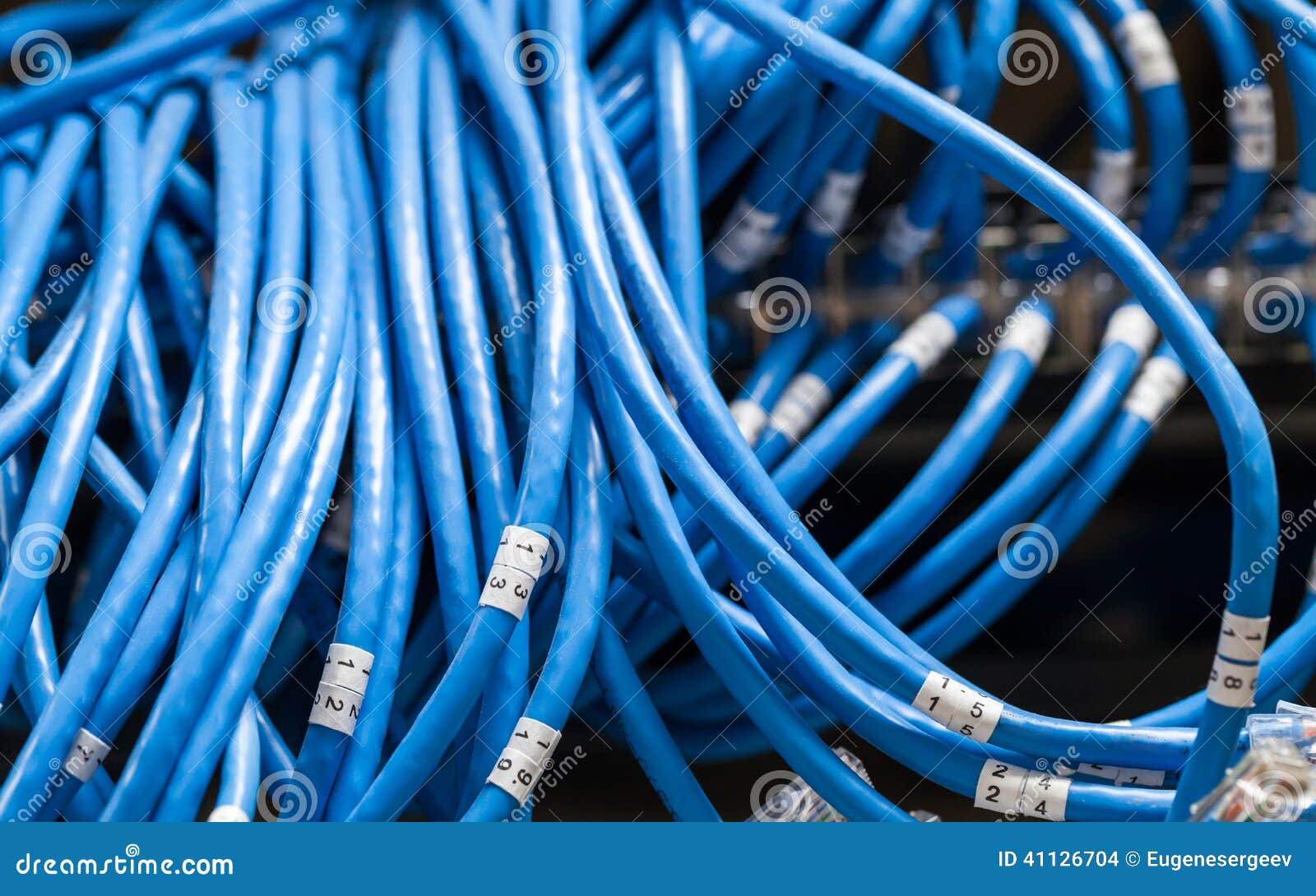 Large Group of Blue Utp Internet Cables Stock Photo - Image of ...