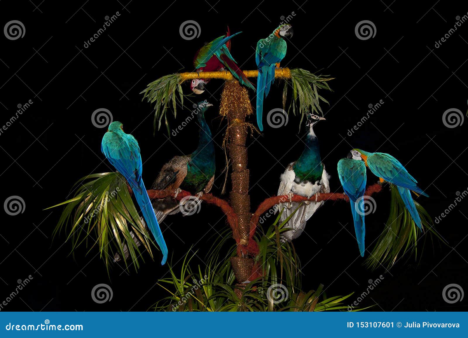 Colorful Circus Tent Stock Image | CartoonDealer.com #48331933