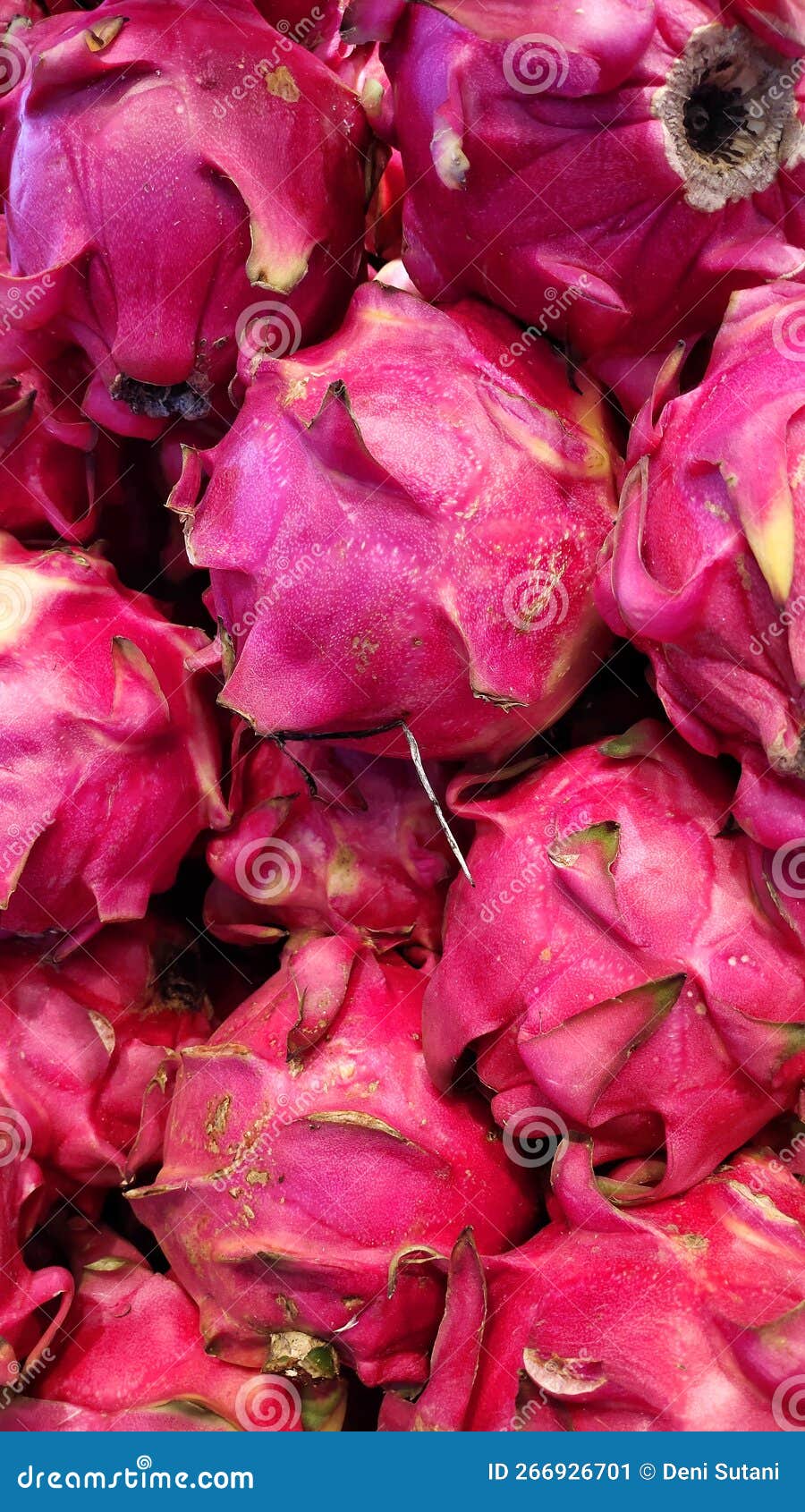 A Large Group of Dragon Fruit Stock Image - Image of asian, exotic ...