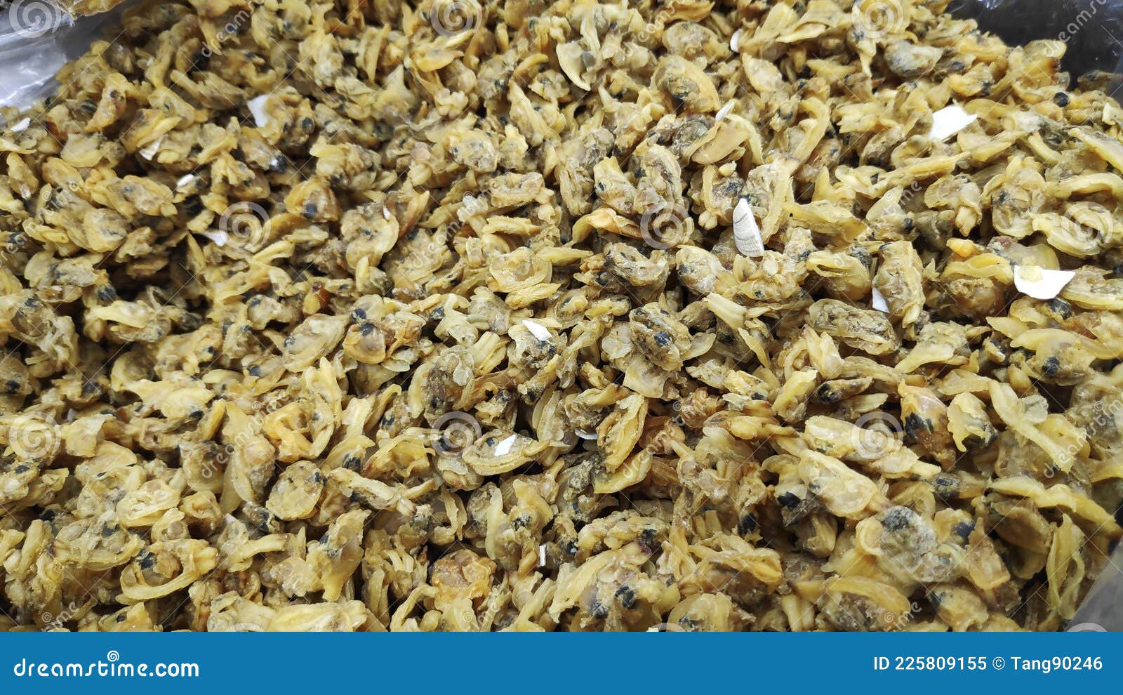 Large Group of Dried Mussels Display on Market Stock Image - Image of ...