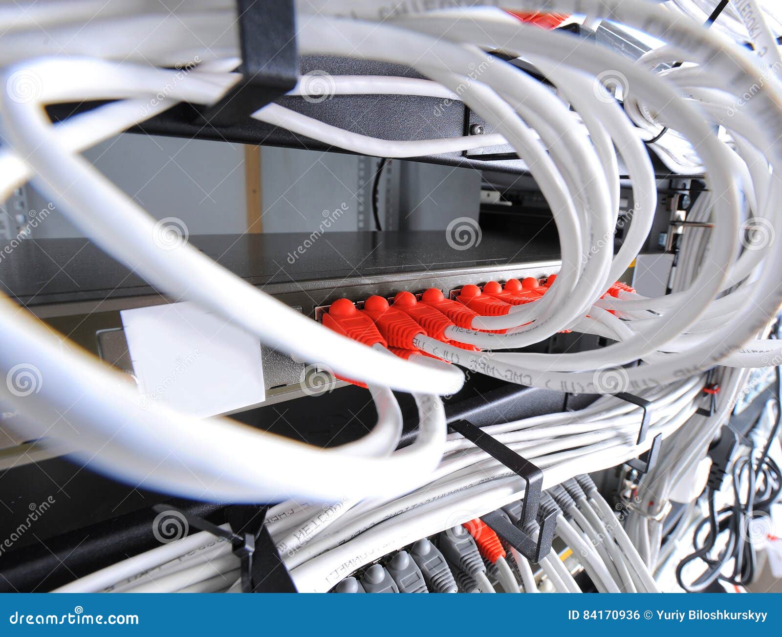 Large Group of Internet Cabling in the Data Center Stock Photo - Image ...