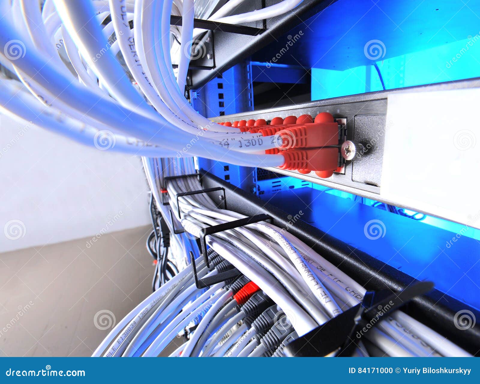 Large Group of Internet Cabling in the Data Center Stock Photo - Image ...