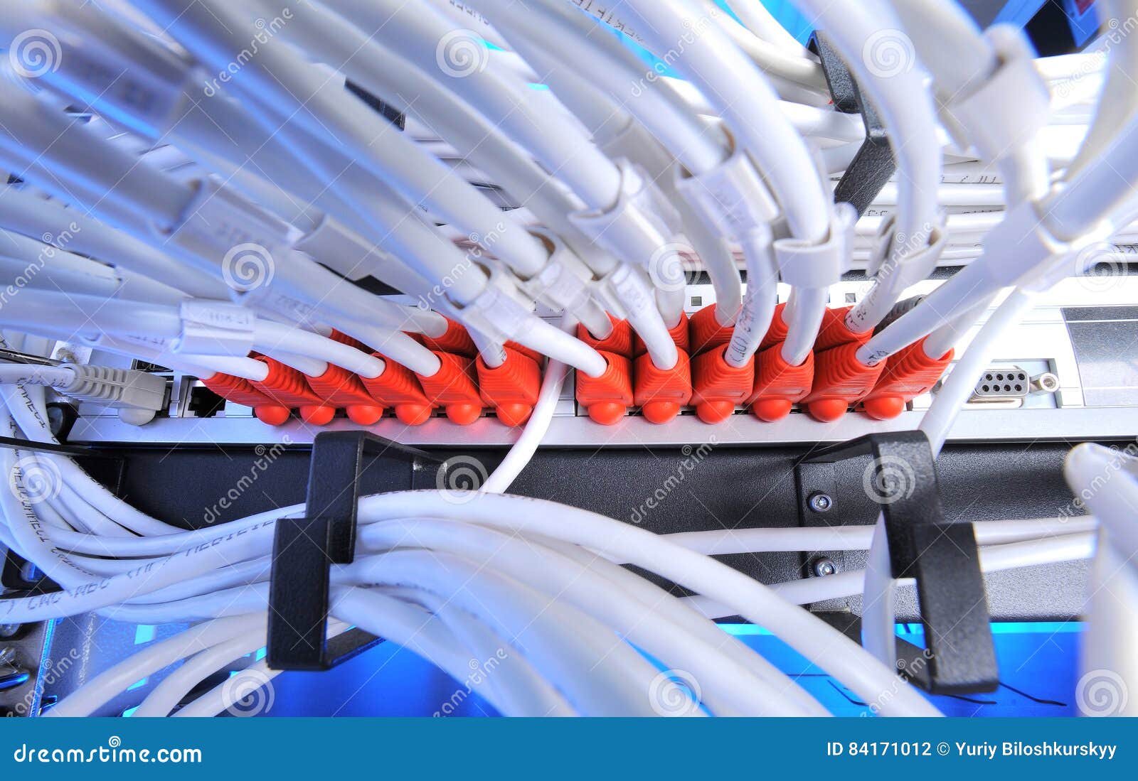 Large Group of Internet Cabling in the Data Center Stock Photo - Image ...