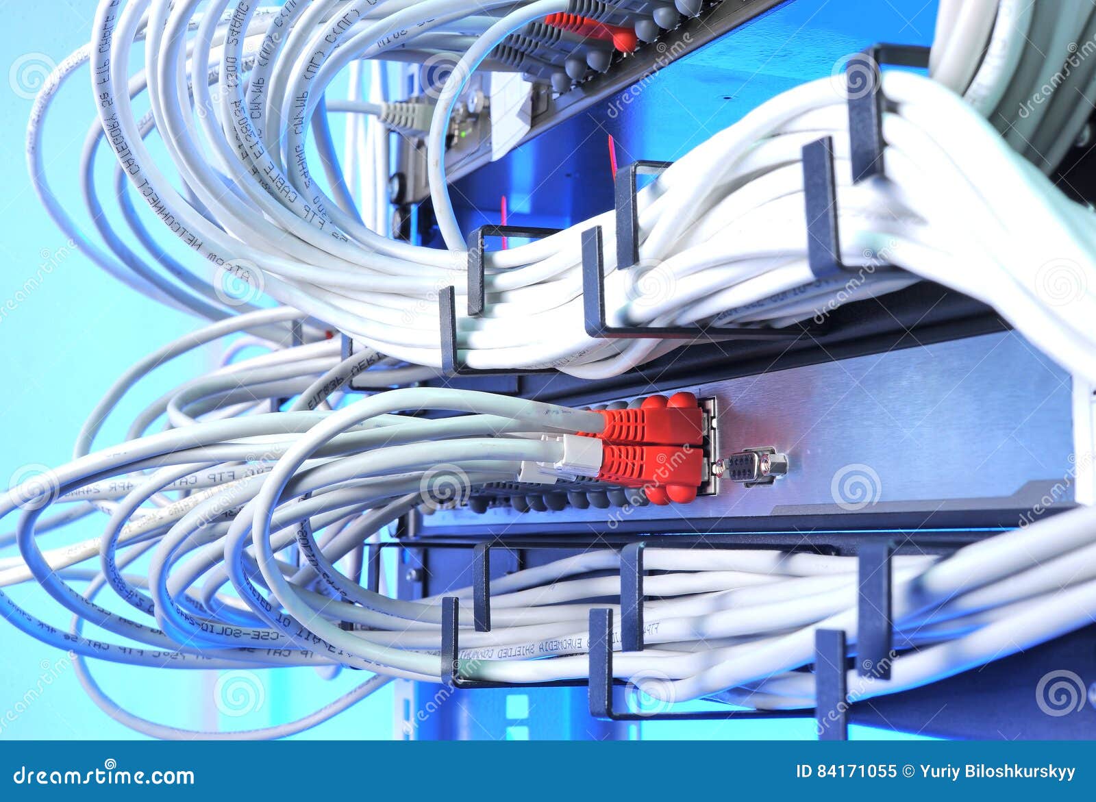 Large Group of Internet Cabling in the Data Center Stock Image - Image ...