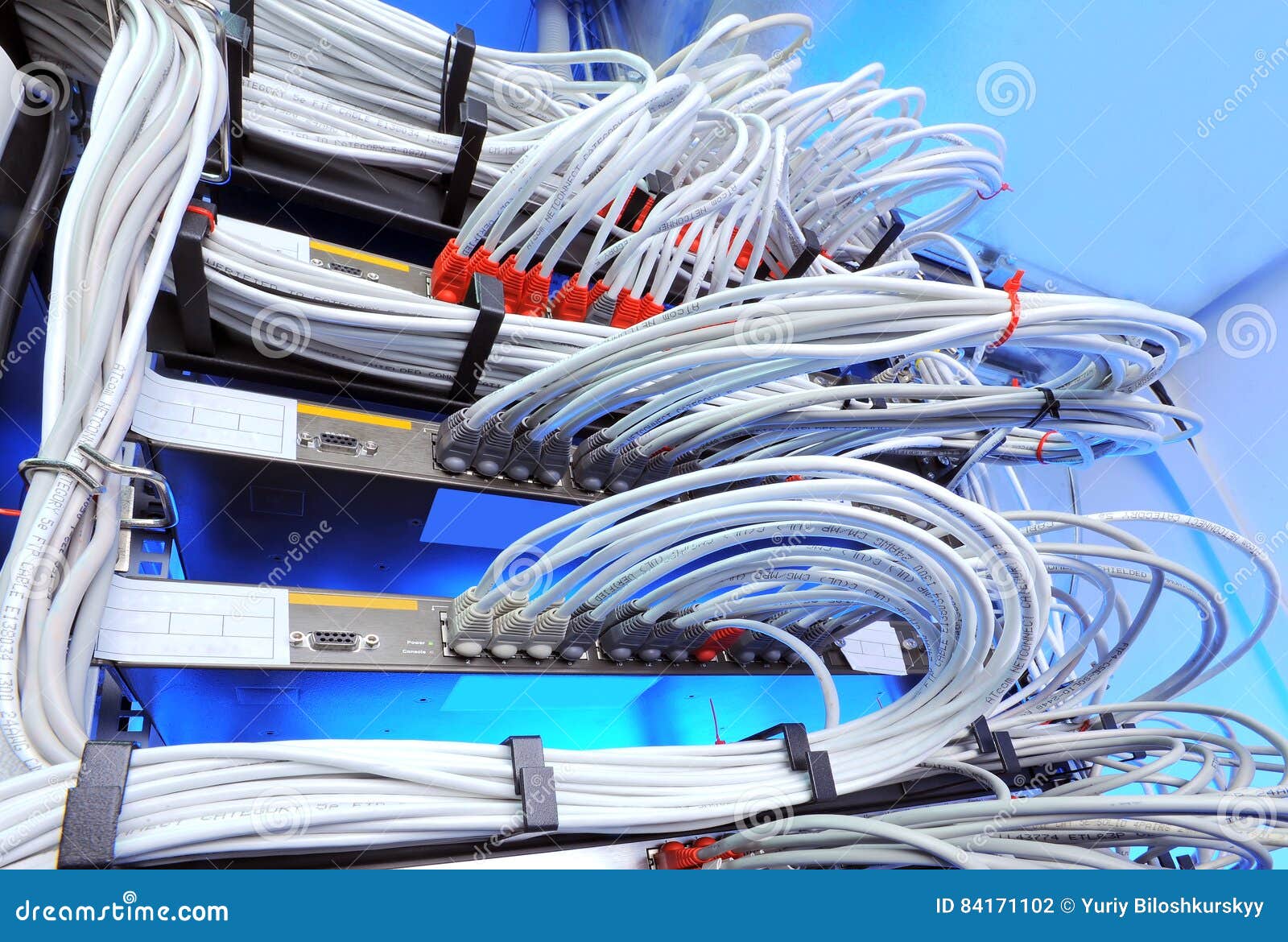 Large Group of Internet Cabling in the Data Center Stock Photo - Image ...
