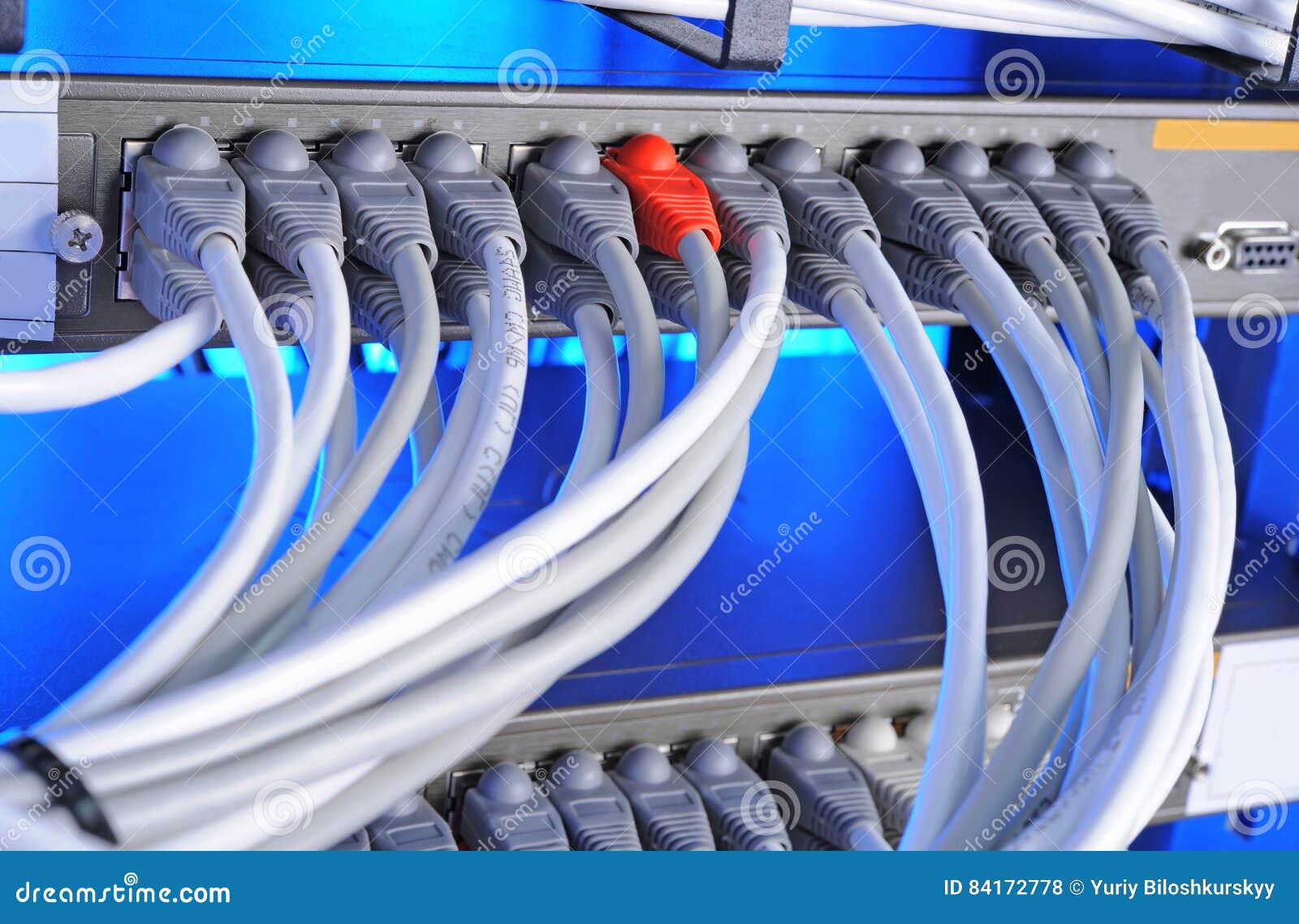 Large Group of Internet Cabling in the Data Center Stock Photo - Image ...