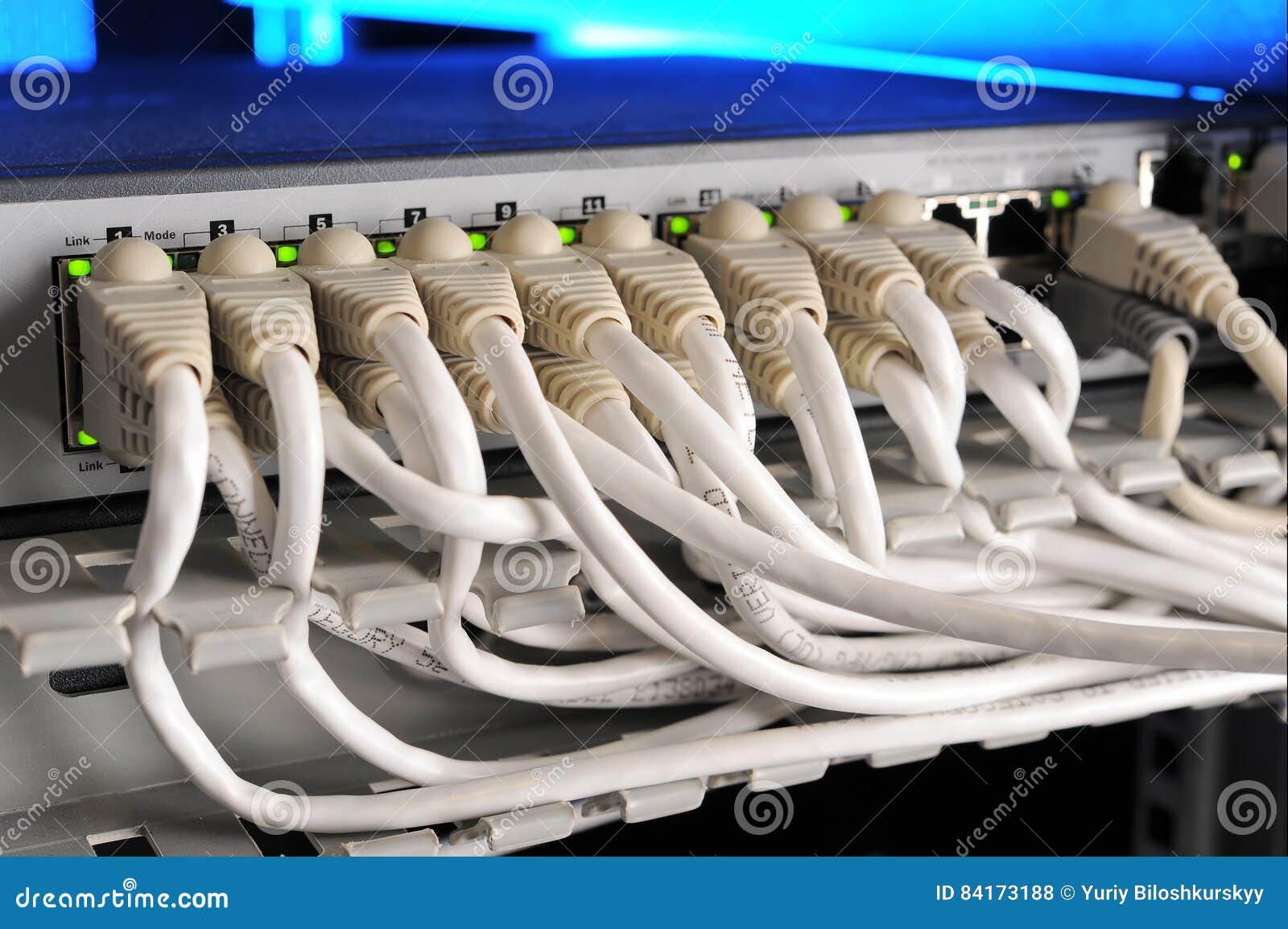 Large Group of Internet Cabling in the Data Center Stock Photo - Image ...