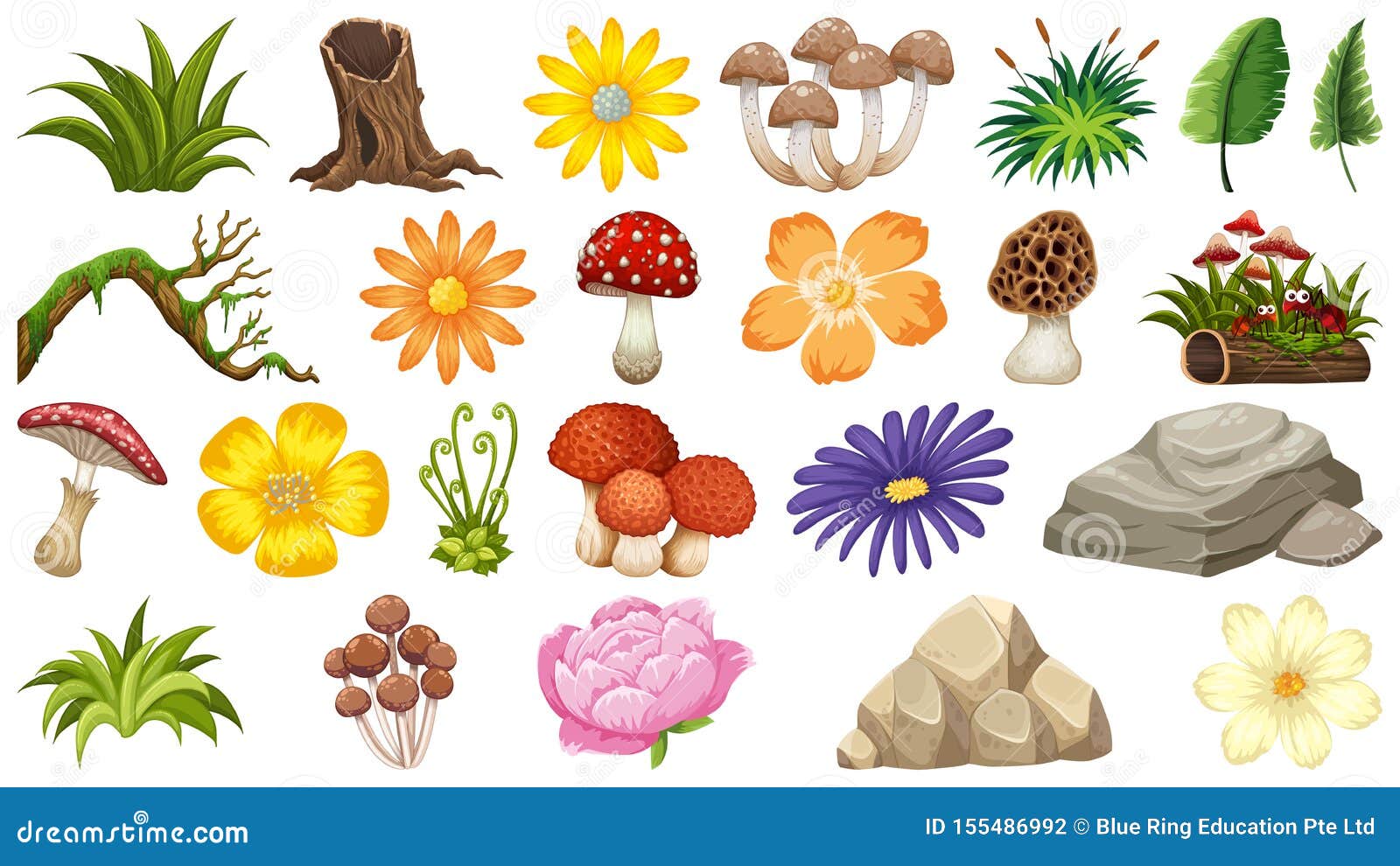 Large Group of Isolated Objects Theme - Nature Stock Vector ...