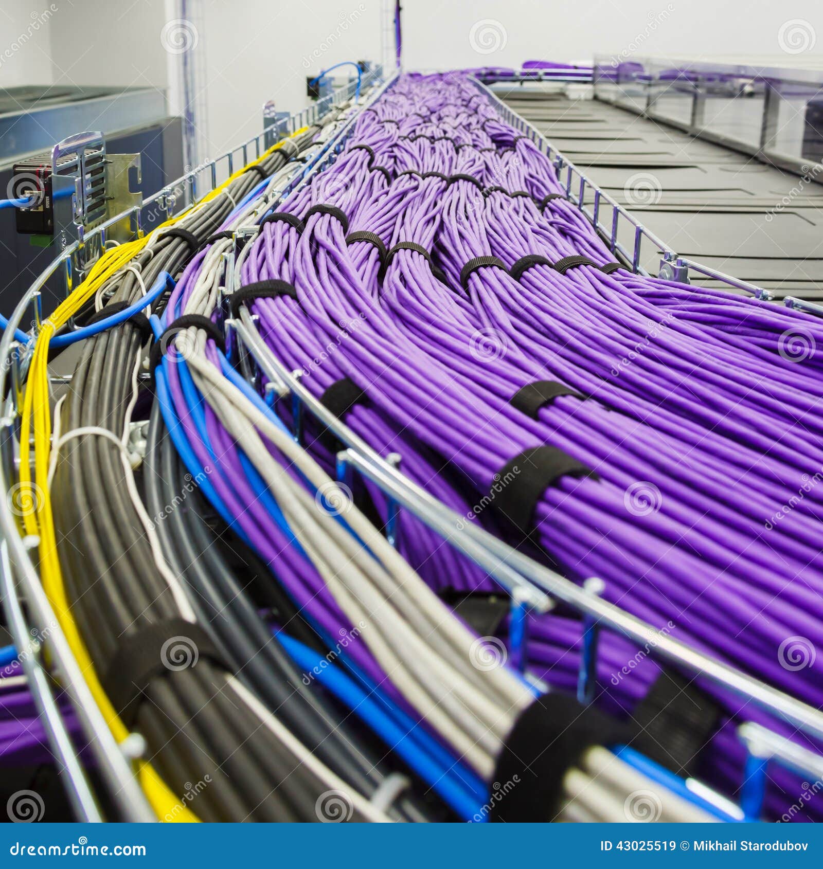 Large Group of Lilac Utp Cables Stock Image - Image of center ...