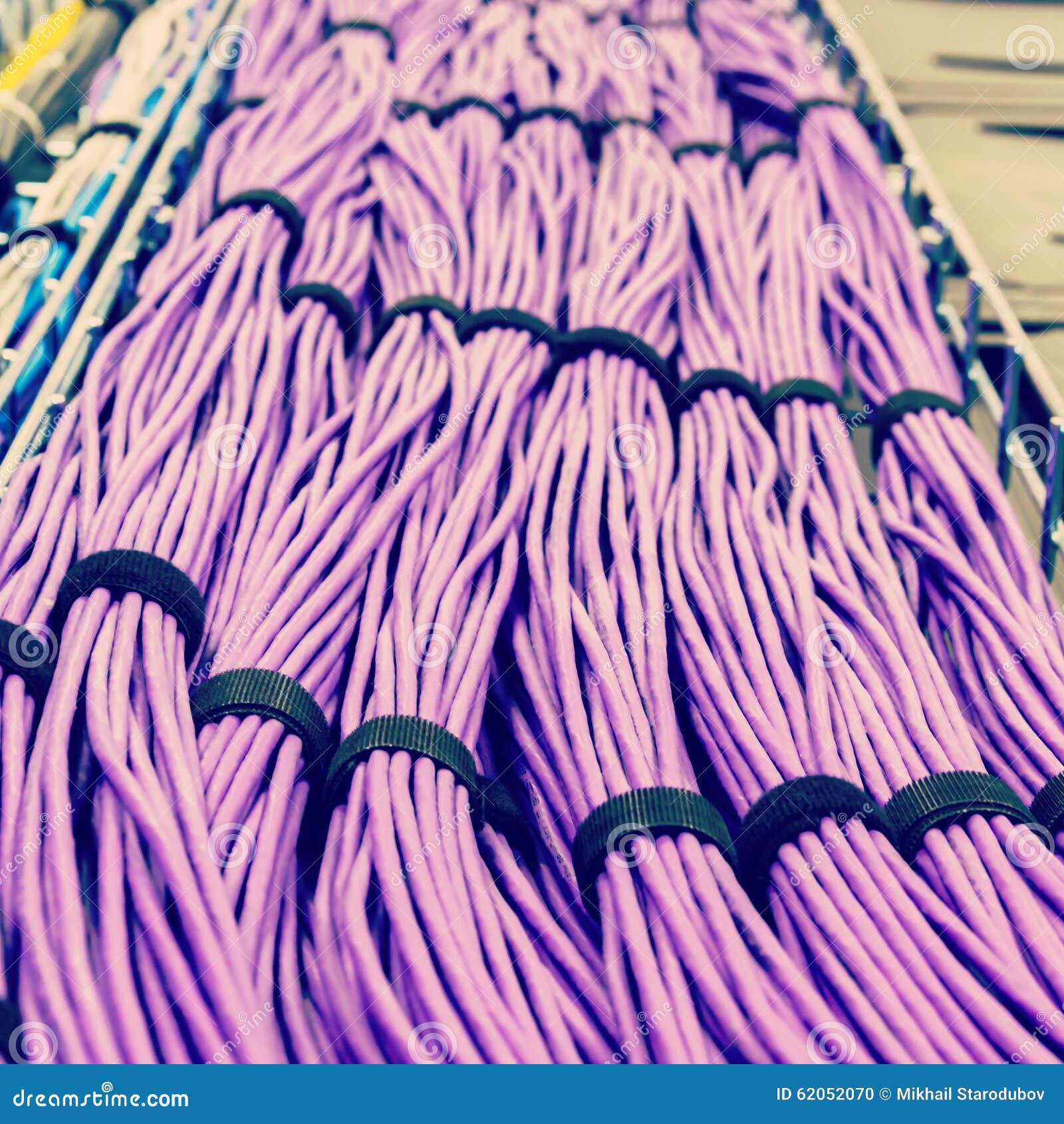 Large Group of Lilac Utp Cables Stock Photo - Image of disconnected ...